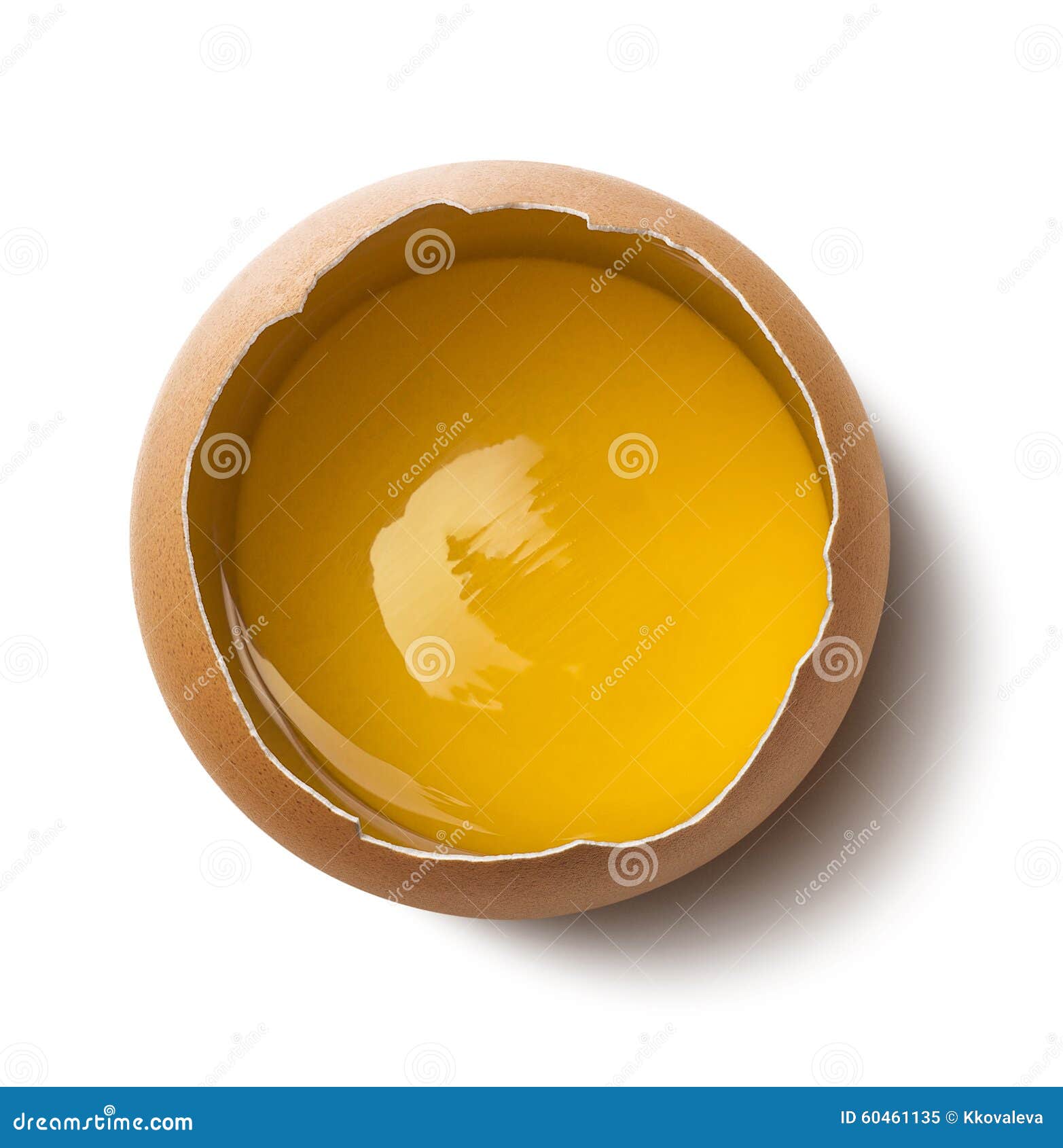 Single Fresh Egg Yolk on White Background Stock Image - Image of ...