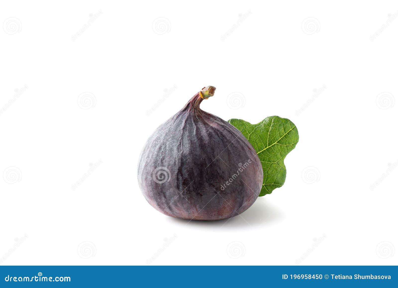 Single Fresh Fig with Leave Isolated on White Background. Clipping Path ...