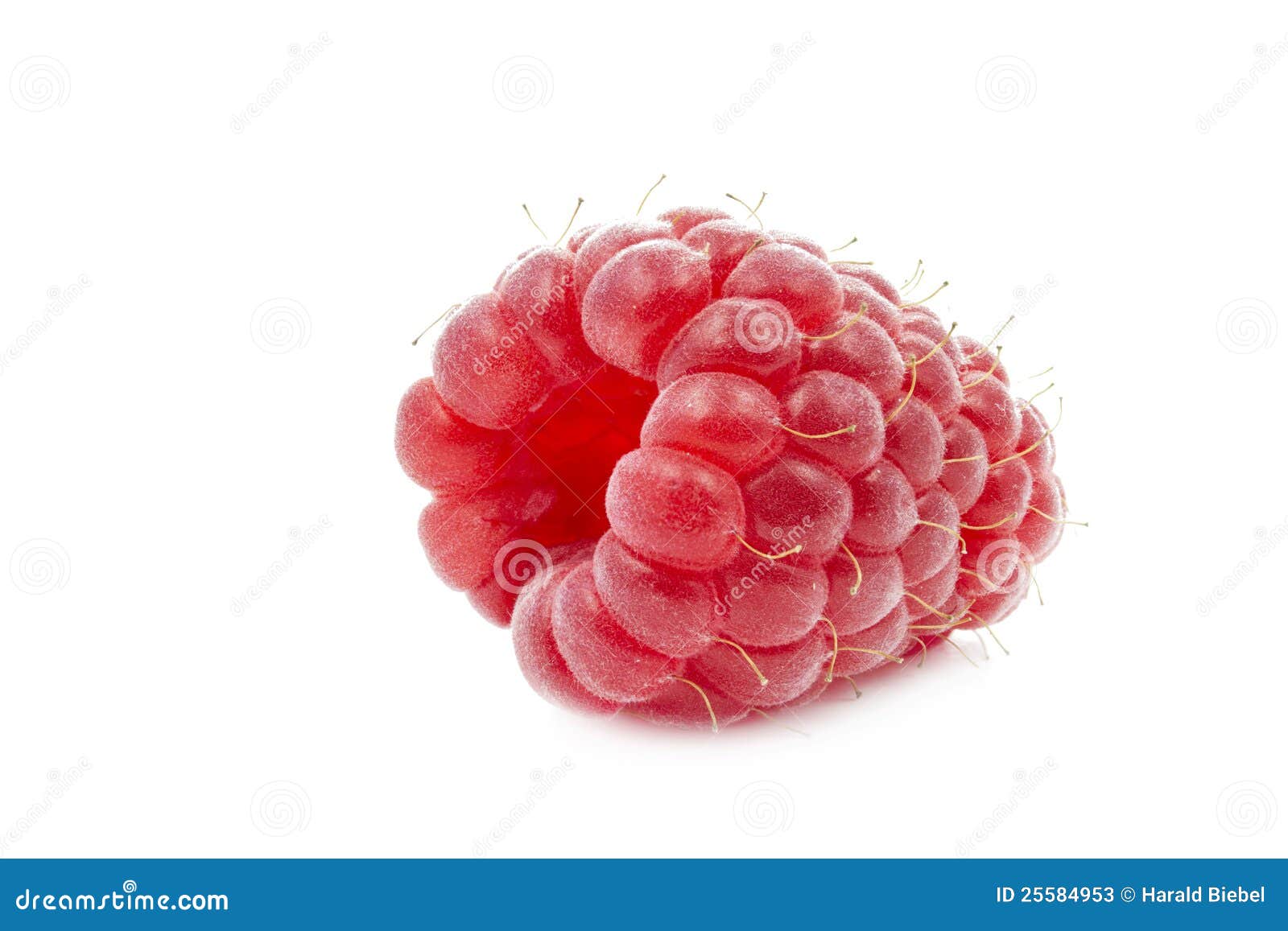 Single fresh Raspberry stock image. Image of object, food - 25584953
