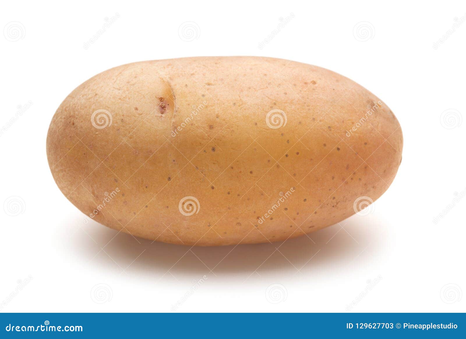 Single raw potato stock image. Image of ripe, yellow - 129627703