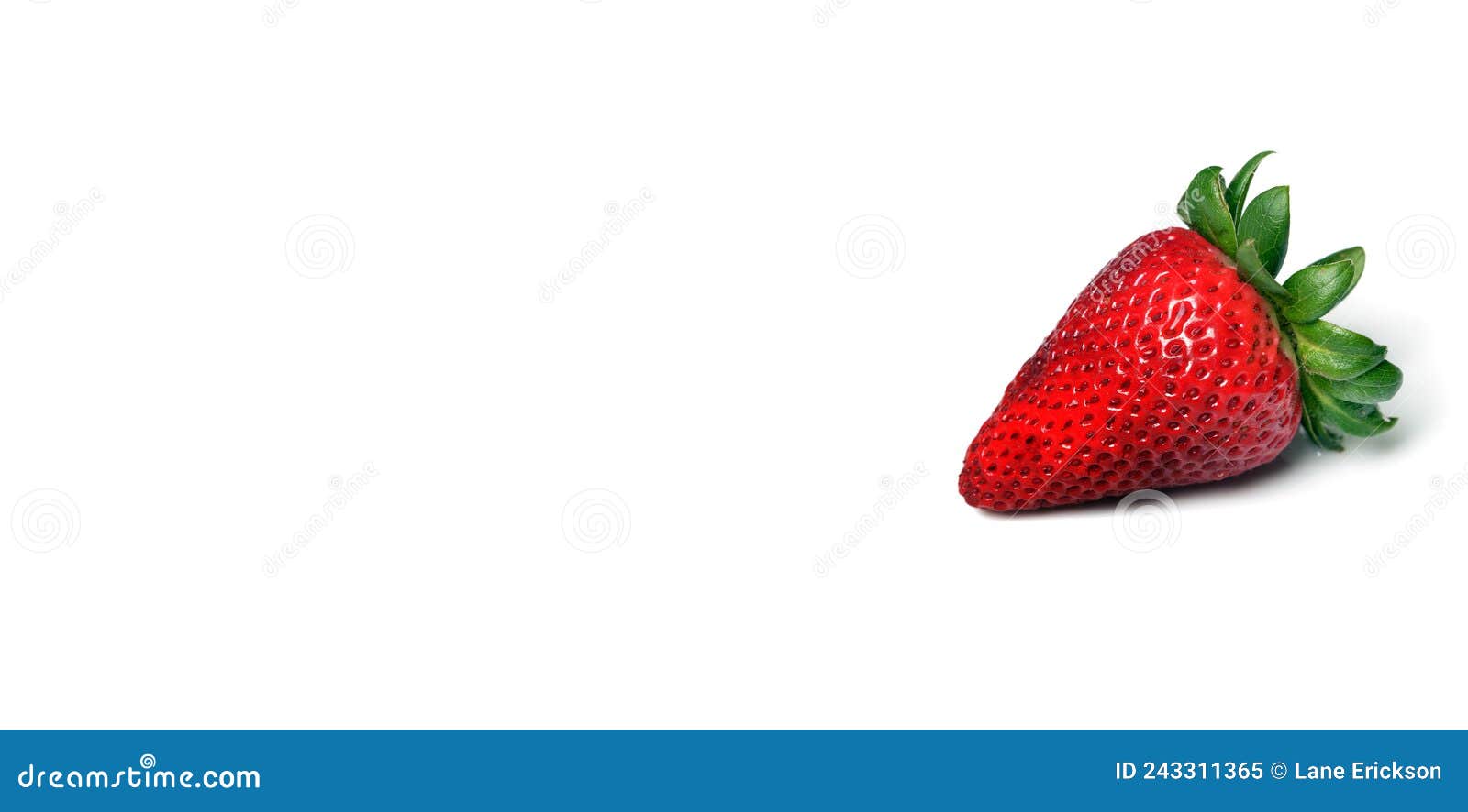 Single Fresh Red Ripe Strawberry on White Background Stock Image ...