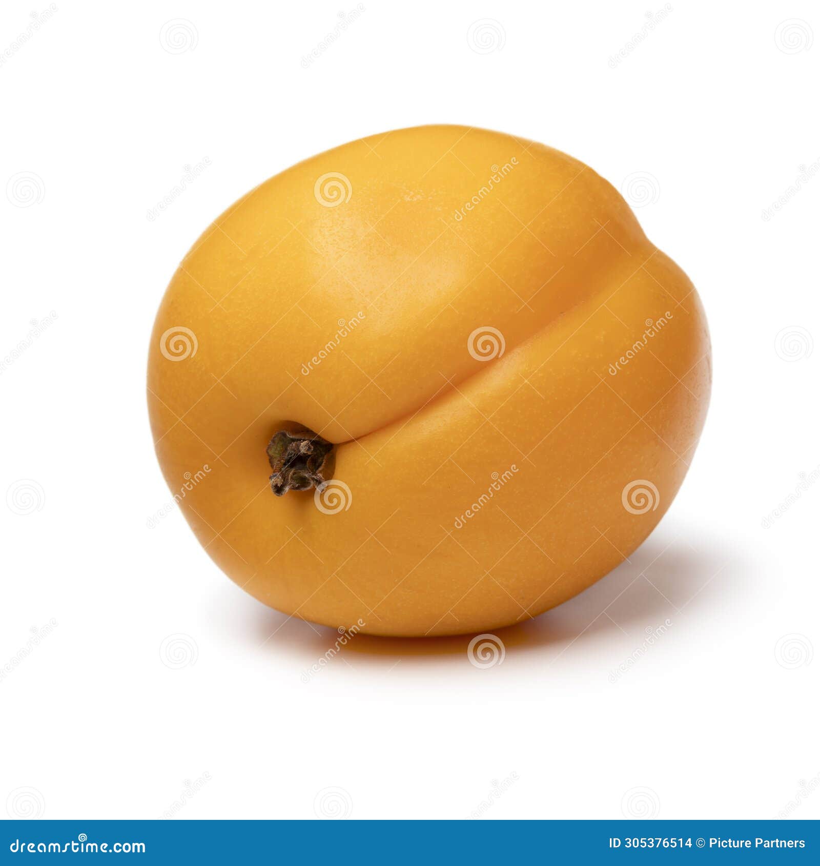 Single Fresh Ripe Healthy Nectarcot Fruit Close Up on White Background ...