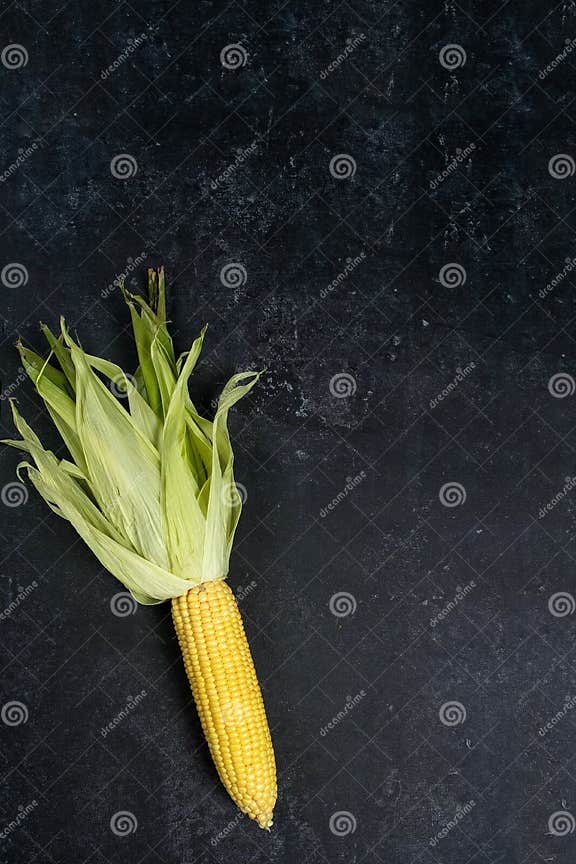 Single Fresh Ripe Maize Corn, on Dark Background with Cpy Space, Top ...