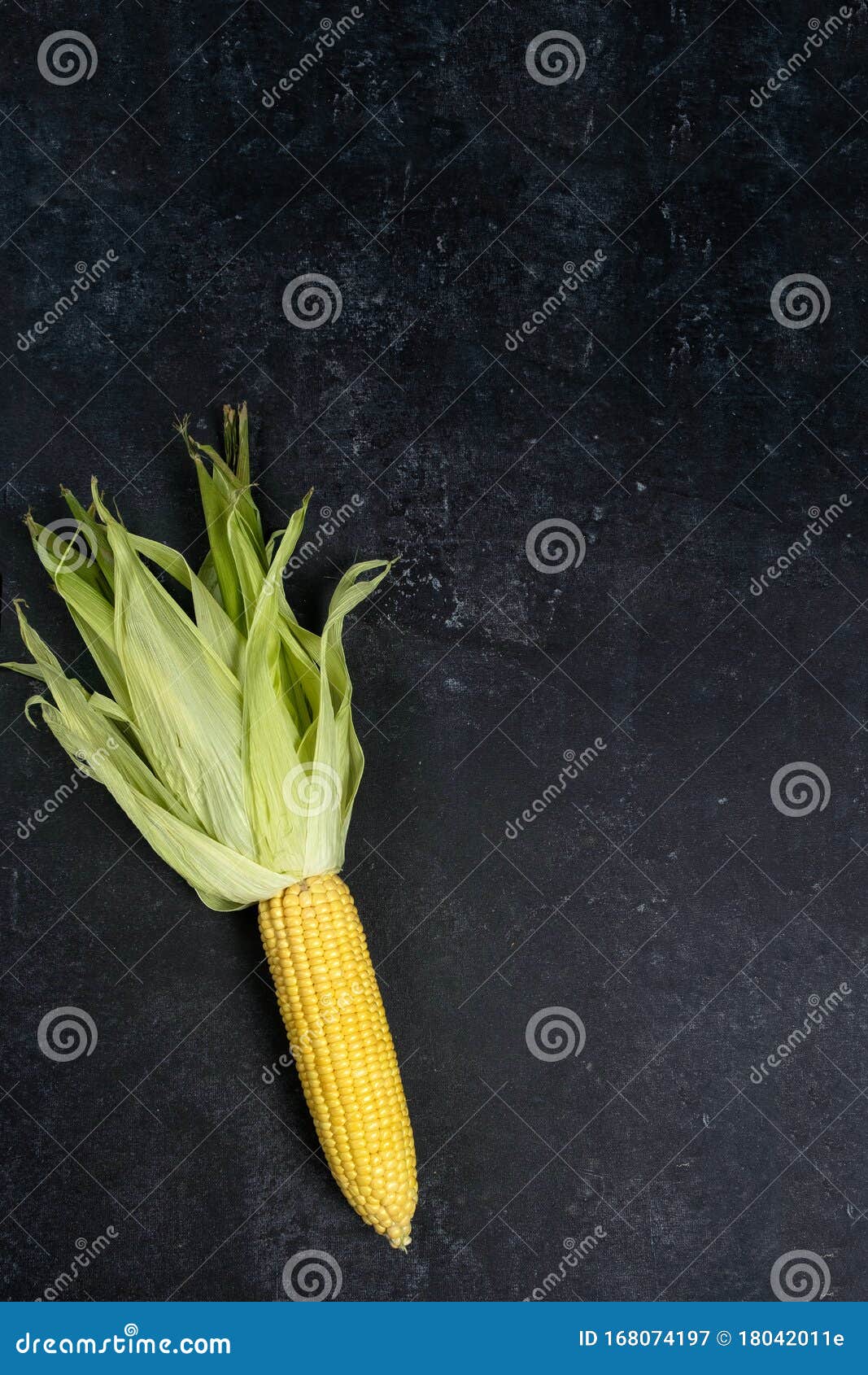 Single Fresh Ripe Maize Corn, on Dark Background with Cpy Space, Top ... Single Fresh Ripe Maize Corn, on Dark Background with Cpy Space, Top ...