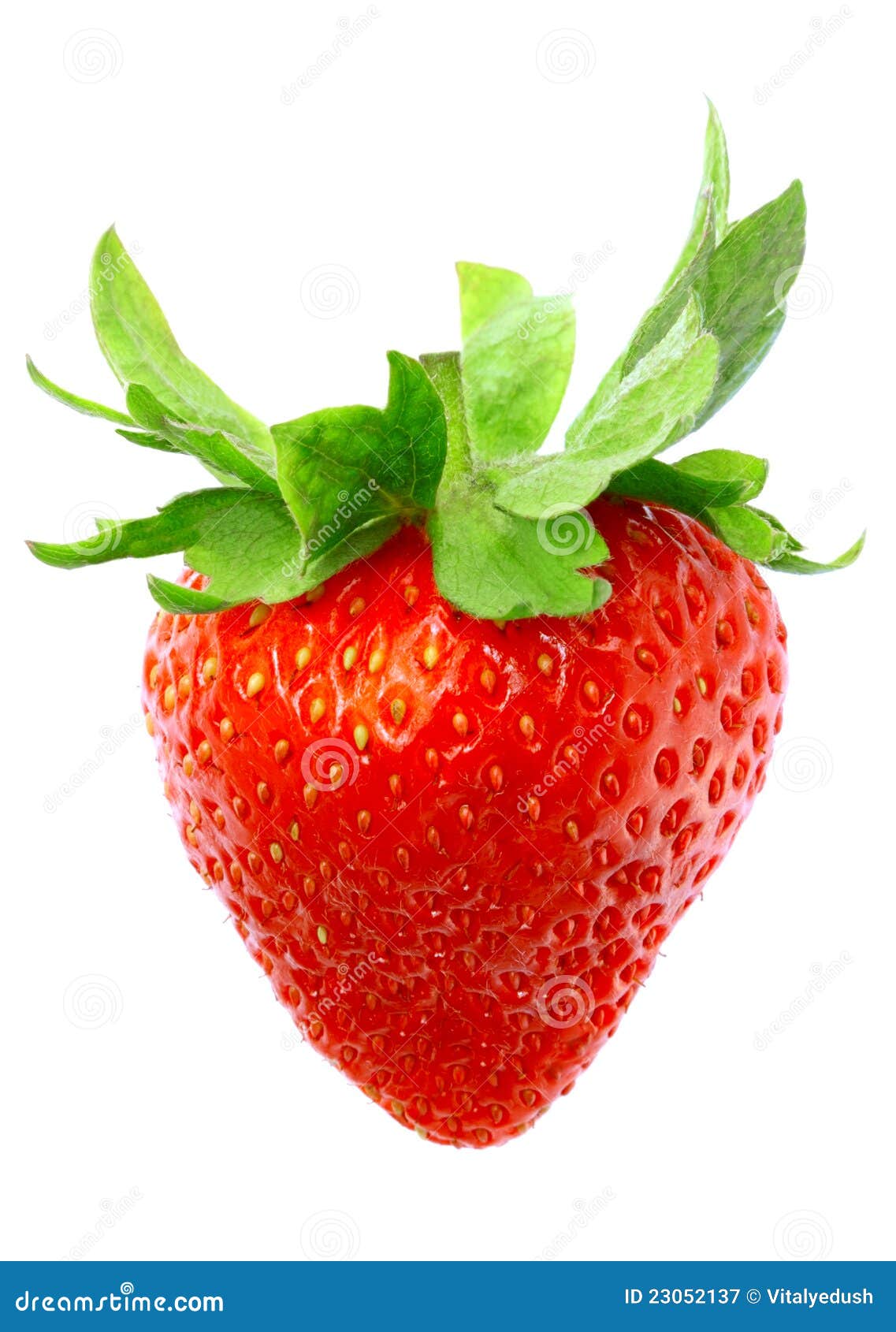Single Fresh Strawberries. Isolated Stock Image - Image of alone, green ...
