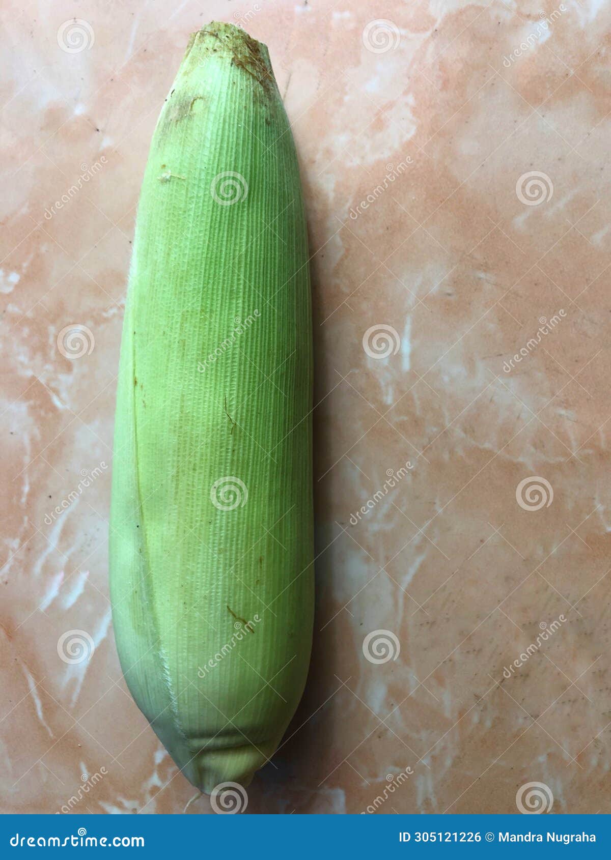 Single Fresh Sweet Corn with a Background of Ceramic Floor Stock Photo ...