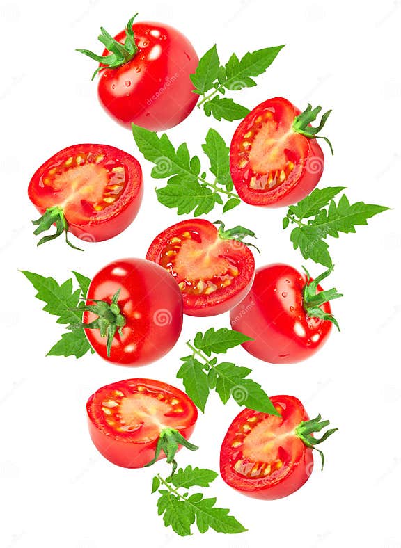 Flying Tomatoes with Green Leaves Isolated on White Background ...