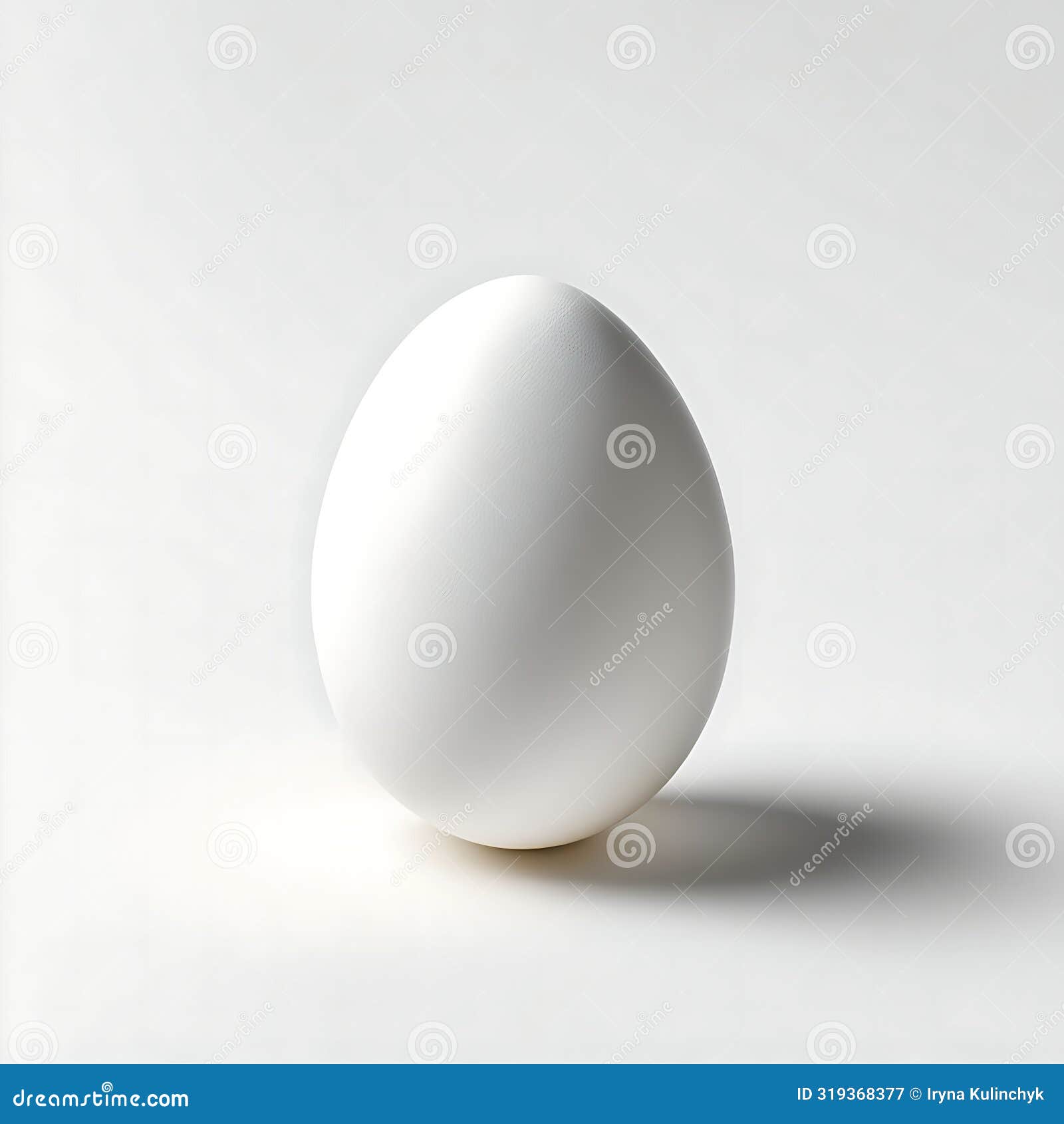 A Single Fresh White Egg. Studio Photograph of a Raw Culinary ...