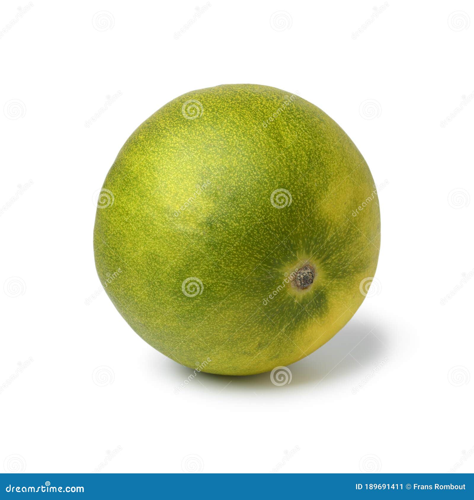 Single Fresh Whole Limelon Fruit Stock Image - Image of organic, juicy ...