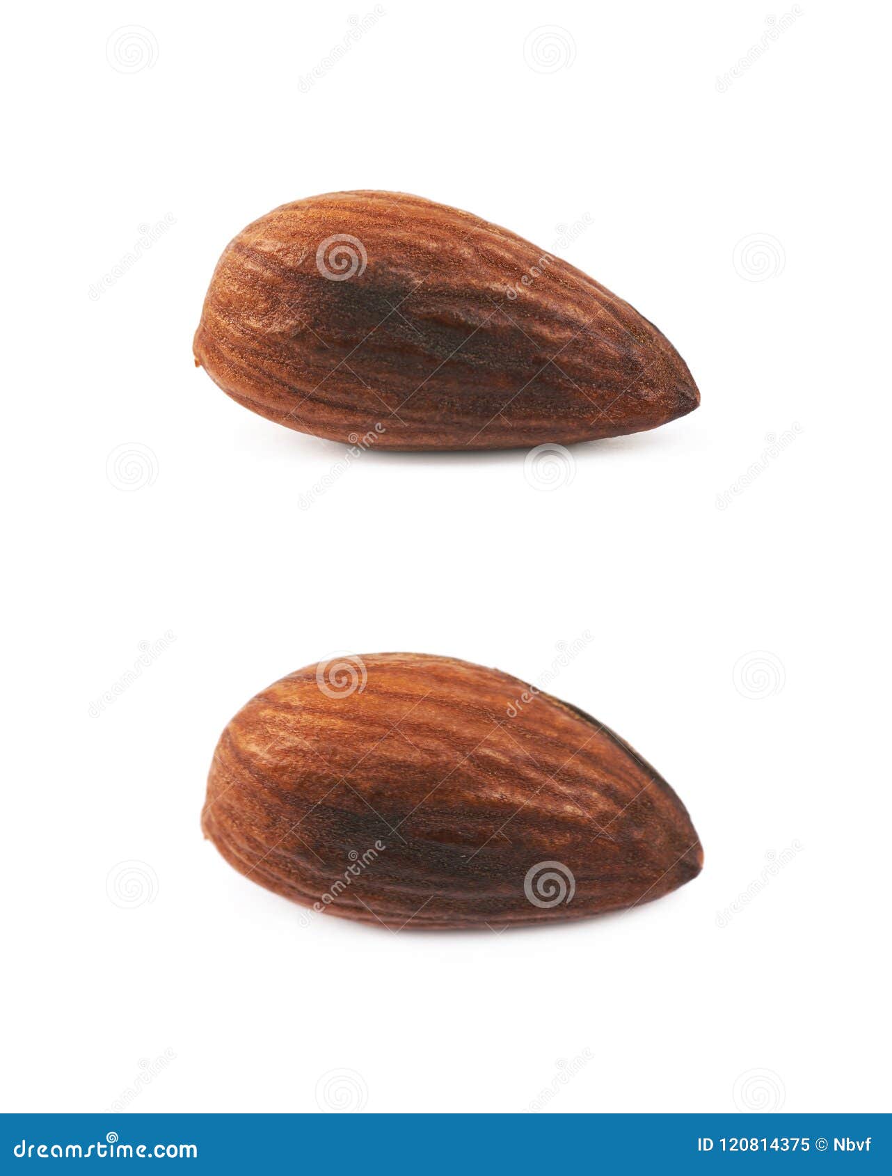 Single Fried Almond Nut Isolated Stock Image - Image of edible, natural ...