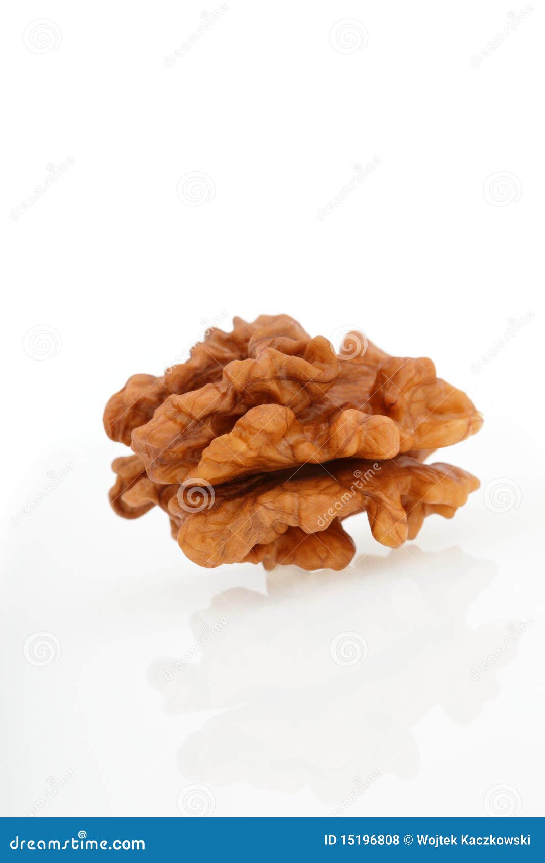 Single Fruit of Walnut without Shell Stock Photo - Image of seasonal ...