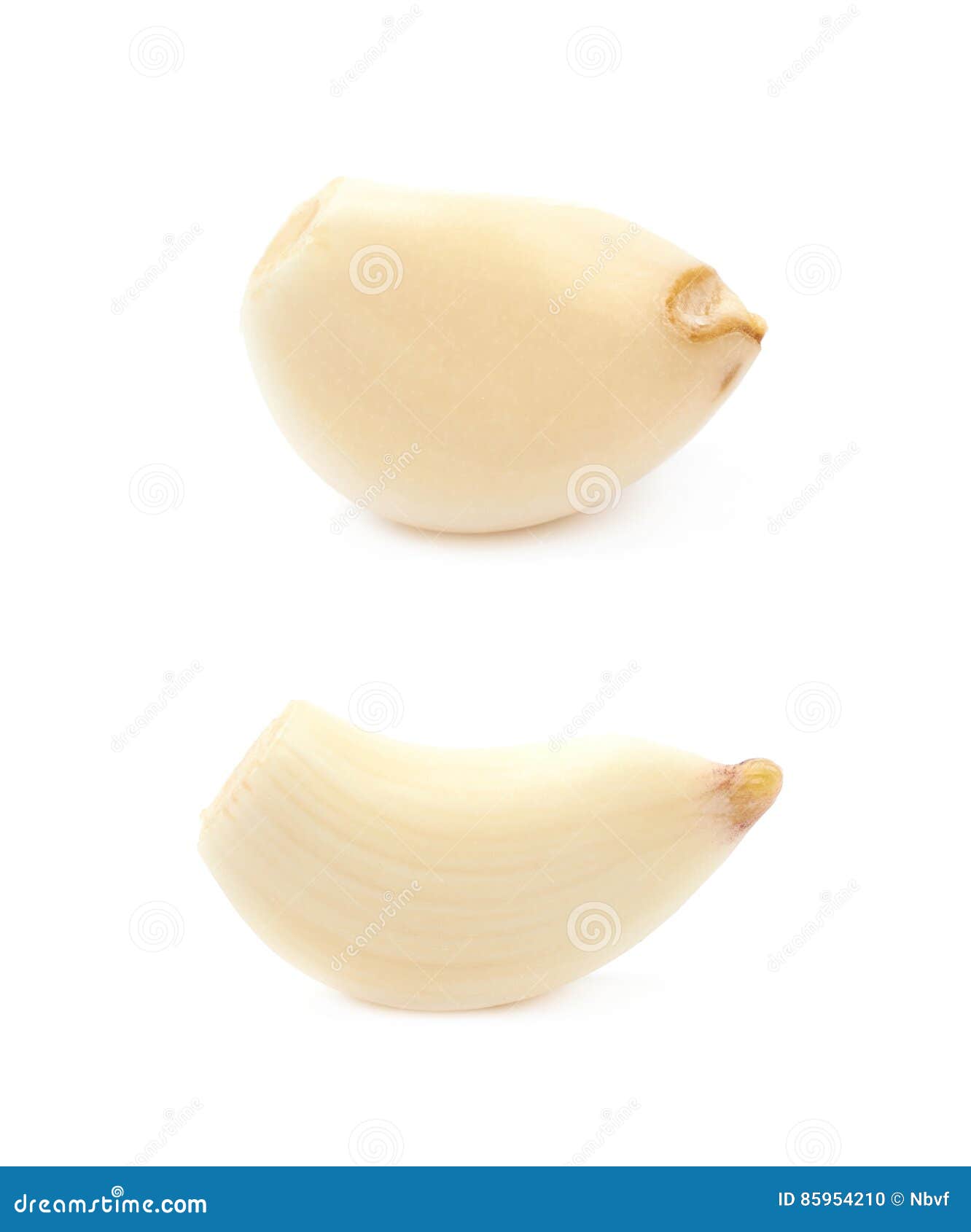 Single Garlic Clove Isolated Stock Photo - Image of clove, object: 85954210