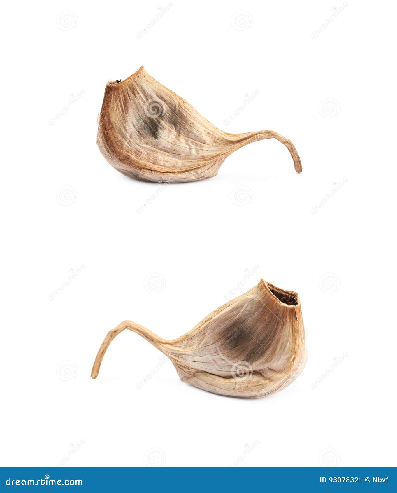 Single Garlic Clove Isolated Stock Image - Image of ingredient, healthy ...