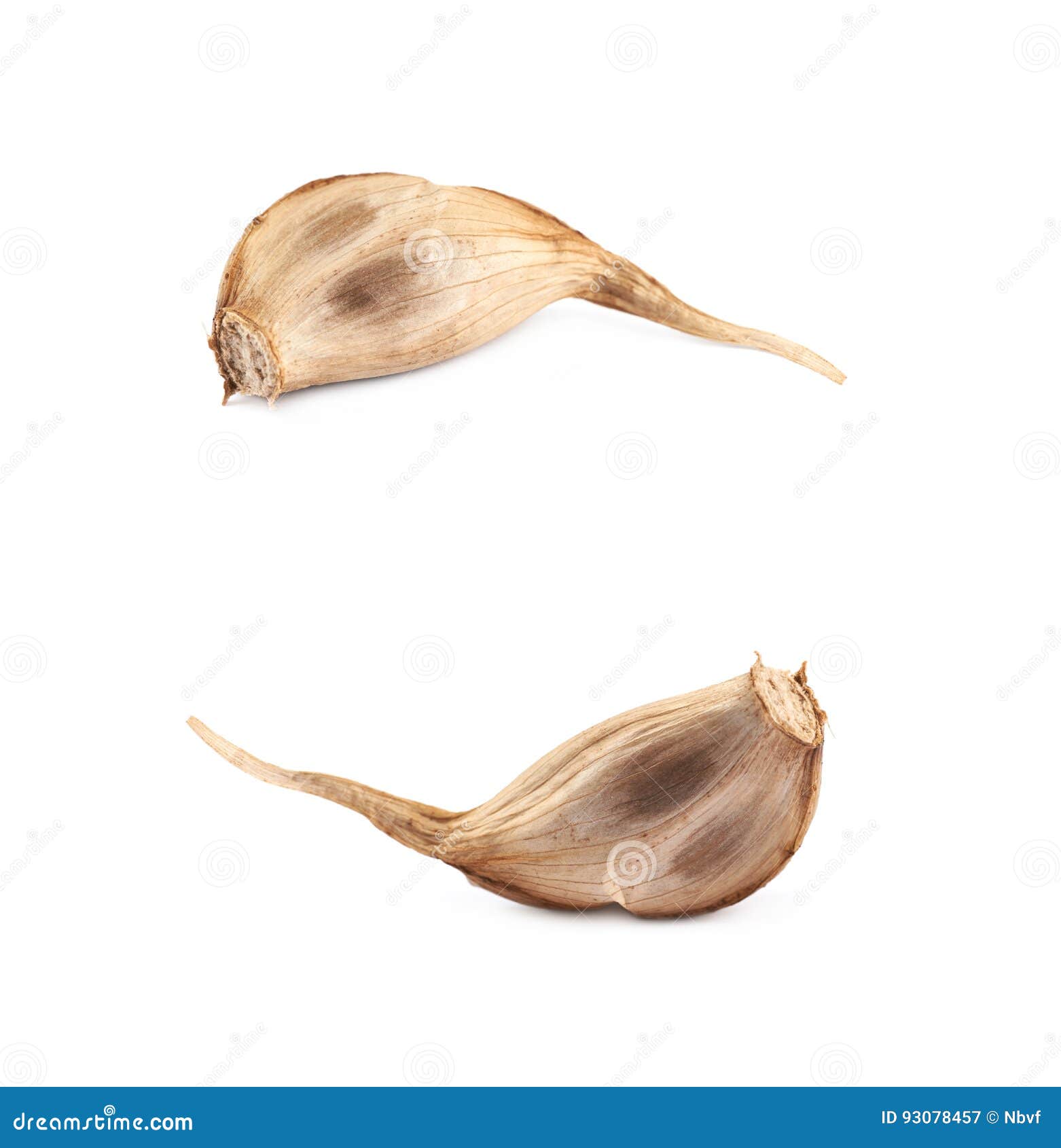 Single Garlic Clove Isolated Stock Image - Image of vegetarian, bulb ...