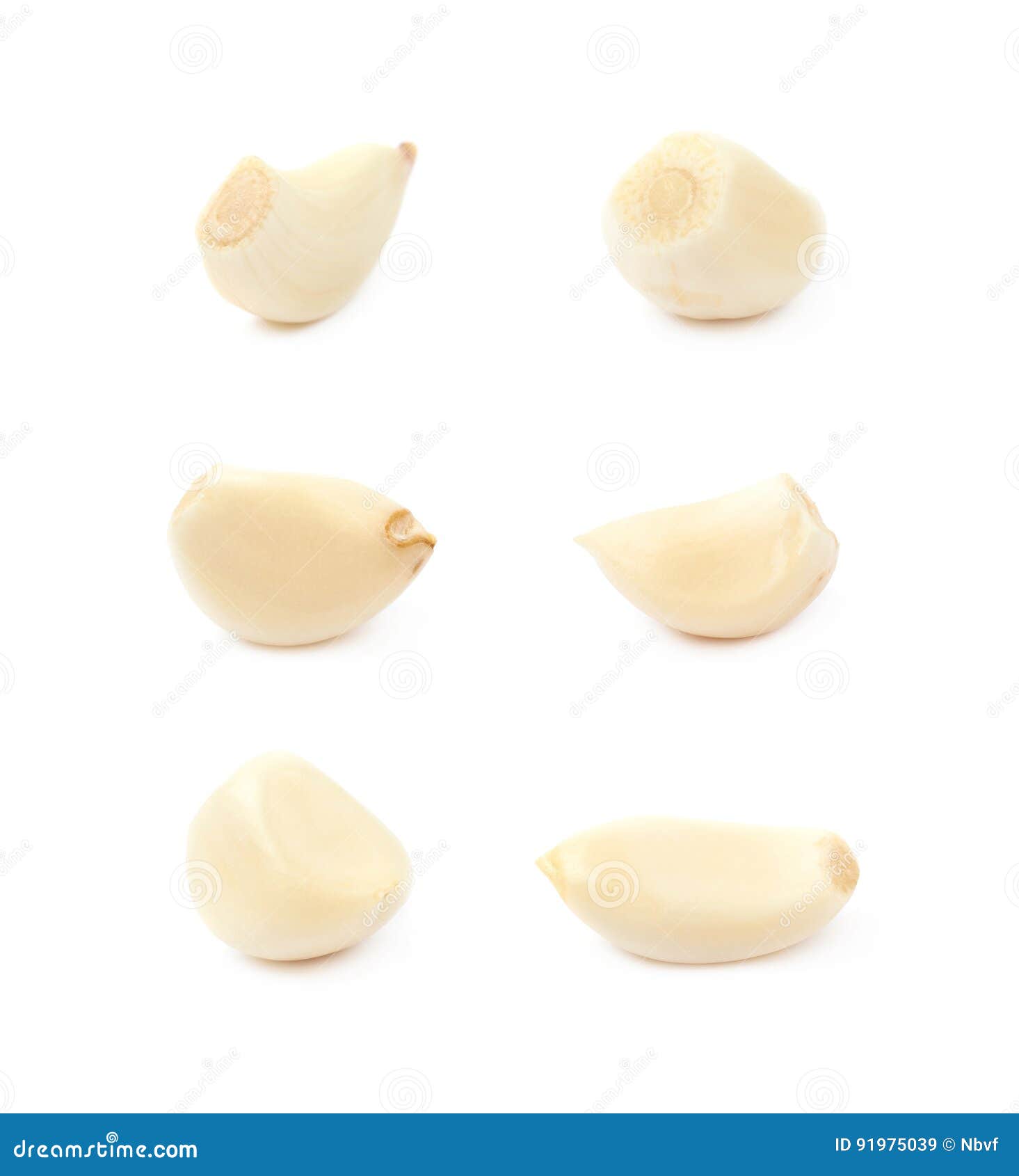 Single garlic clove stock image. Image of closeup, fresh - 91975039