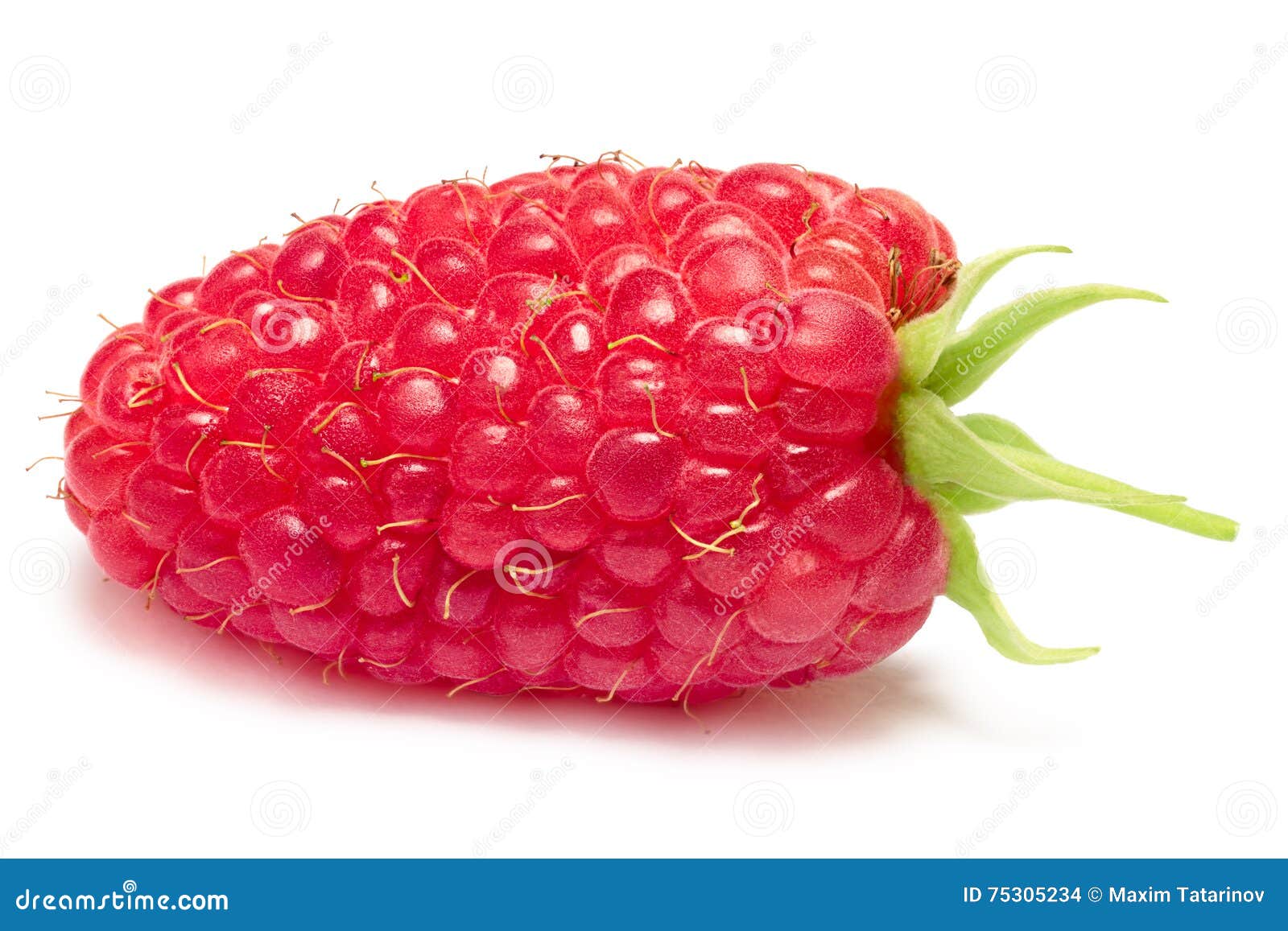 Single Giant, Elongated Raspberry Stock Photo - Image of food, clipping ...
