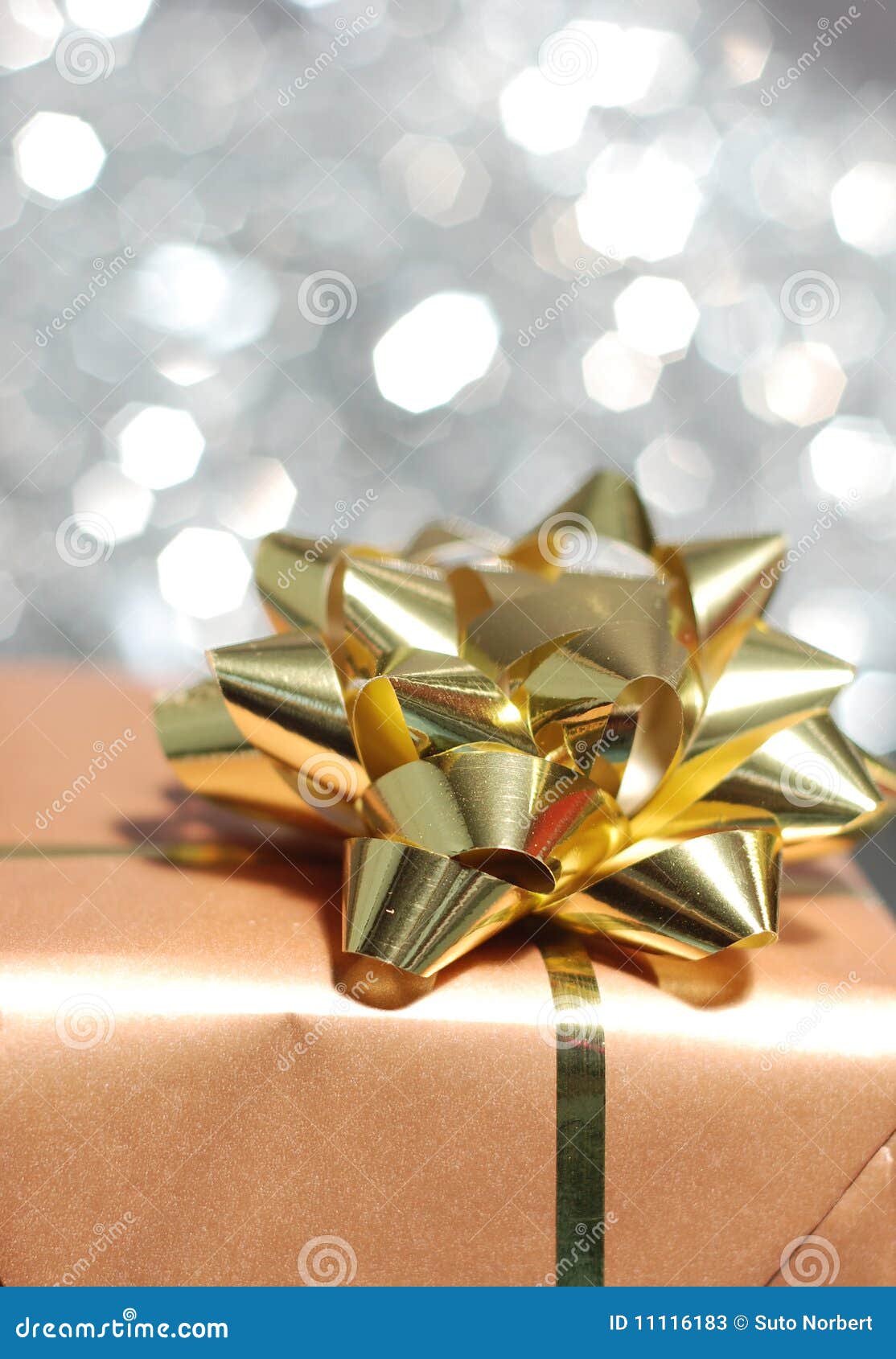 A single gift box stock image. Image of birthday, christmas - 11116183