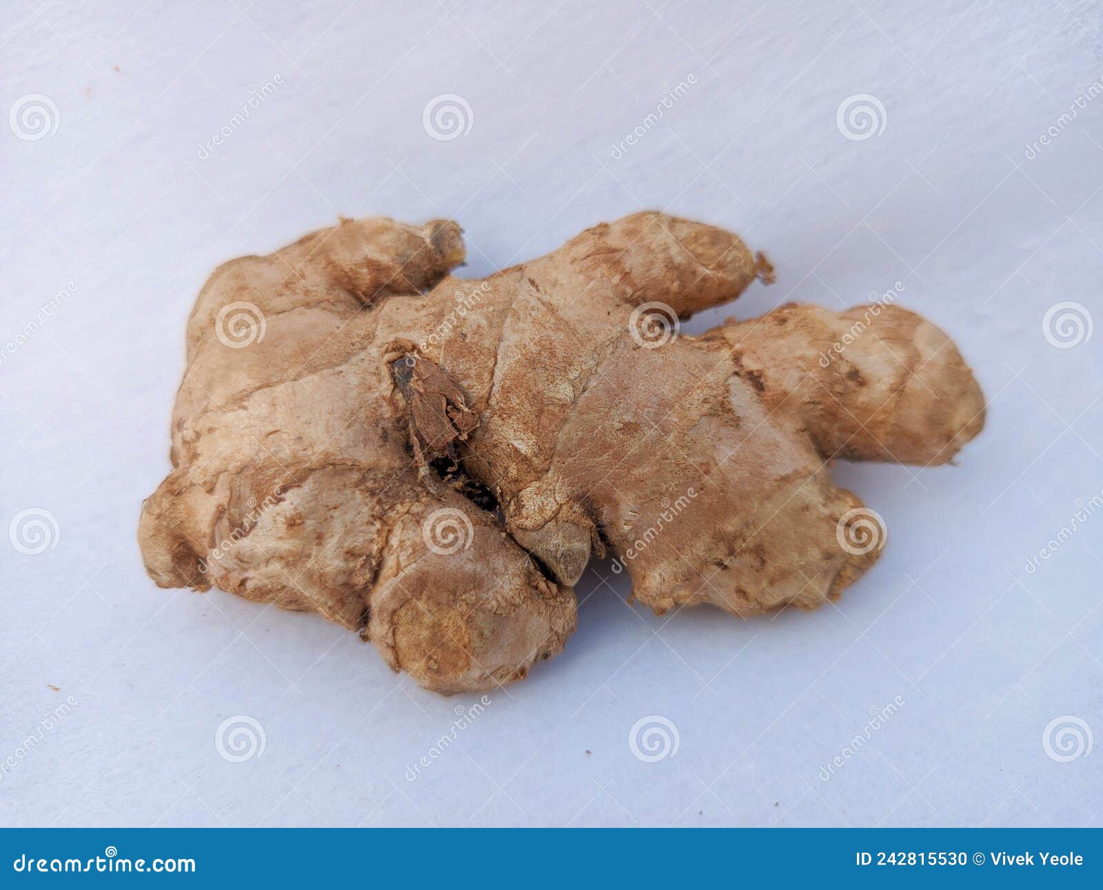 Single Ginger on White Background Stock Photo - Image of icing, dessert ...
