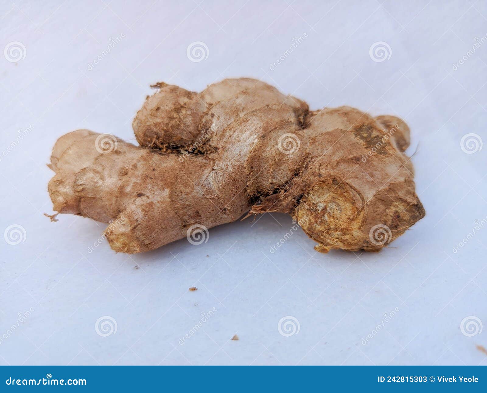 Single Ginger on White Background Fresh Stock Image - Image of ...
