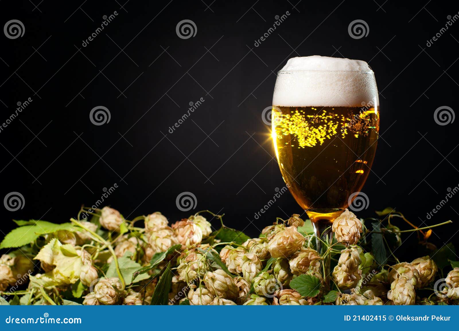 Single Glass of Beer with Hop Stock Image - Image of pure, alcohol ...