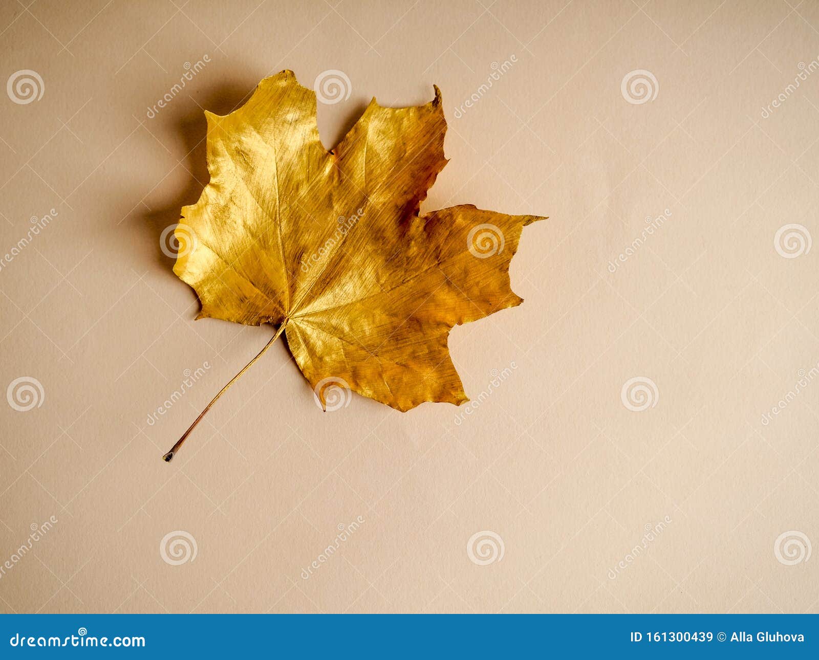 Single Gold Leaf, Painted Sheet in Yellow Metal, Space for Text, for ...