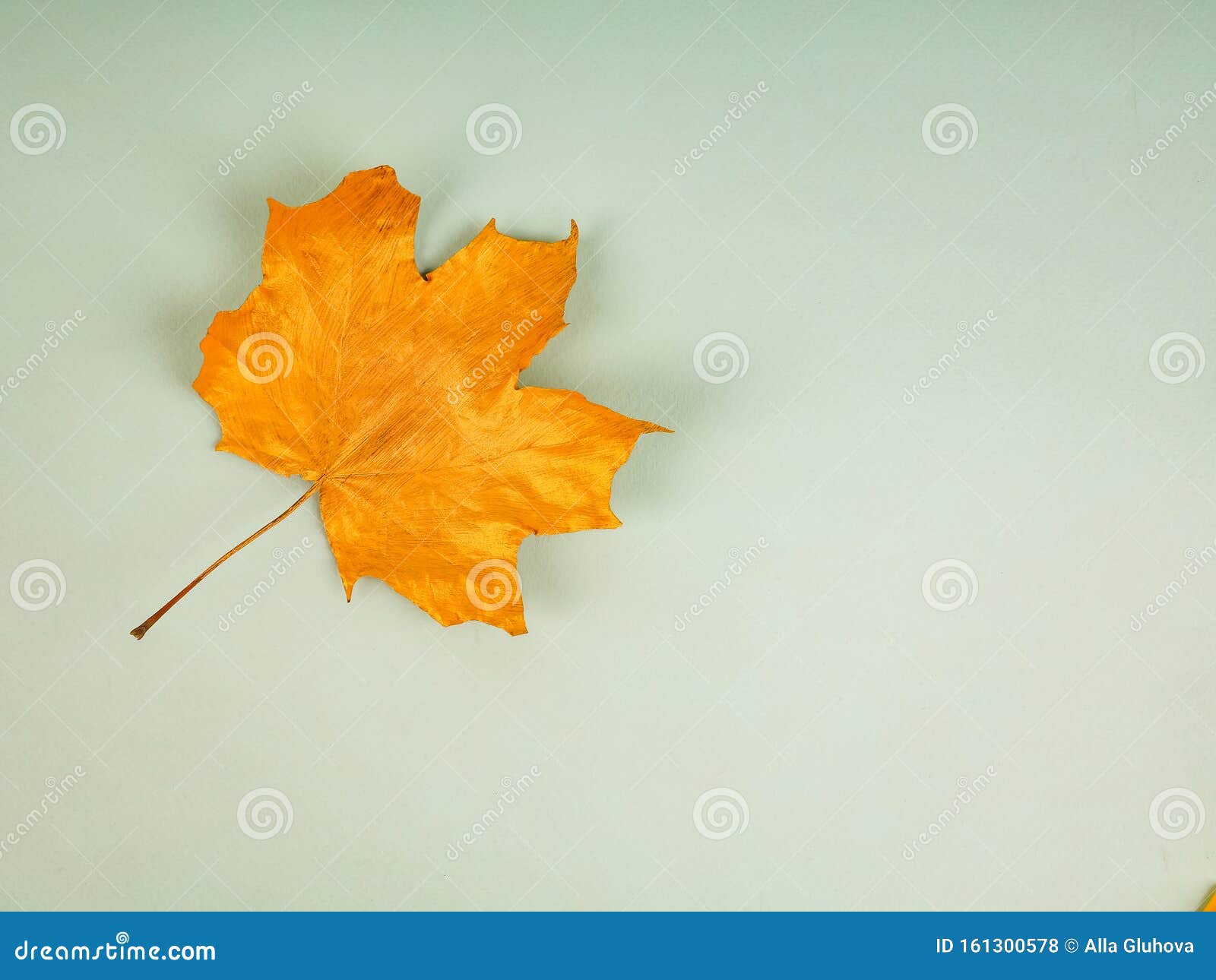 Single Gold Leaf, Painted Sheet in Yellow Metal, Space for Text, for ...