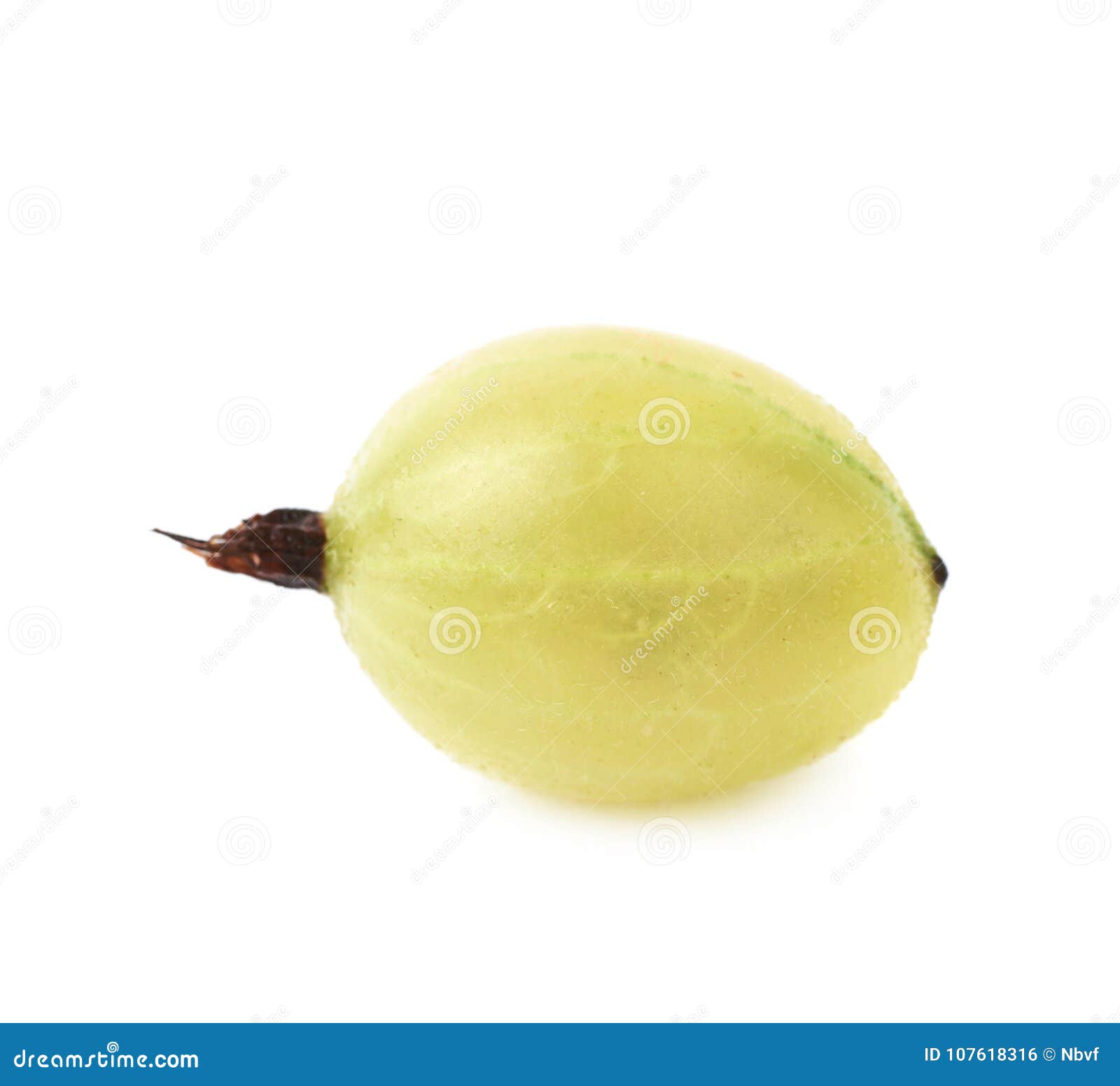 Single gooseberry isolated stock photo. Image of shot - 107618316