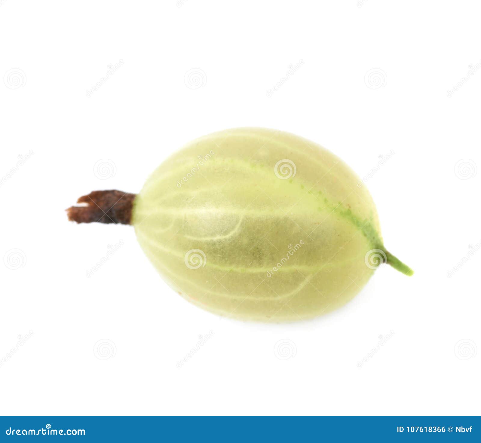 Single gooseberry isolated stock photo. Image of ingredient - 107618366