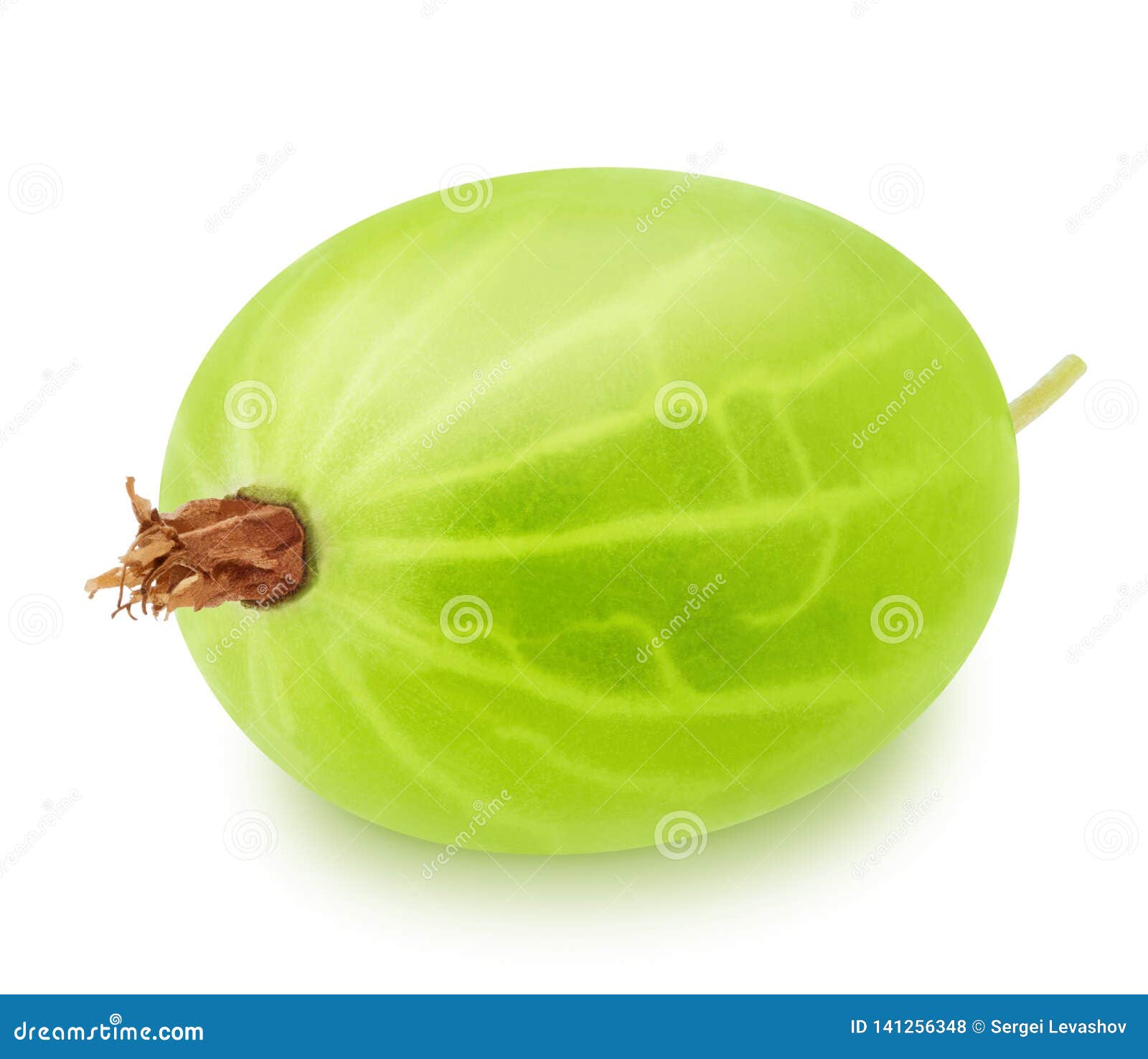 Single Gooseberry Isolated on a White Background. Stock Photo - Image ...