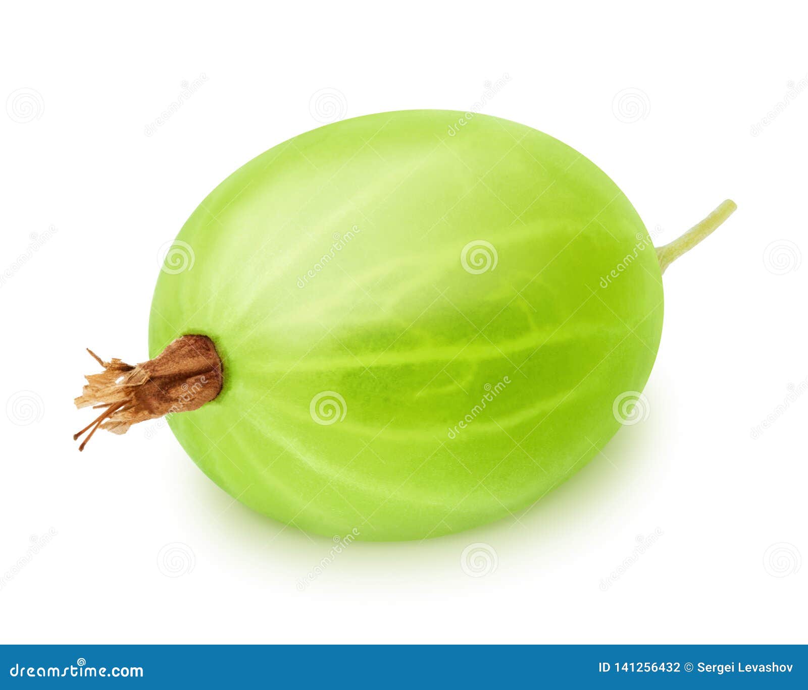 Single Gooseberry Isolated on a White Background. Stock Photo - Image ...