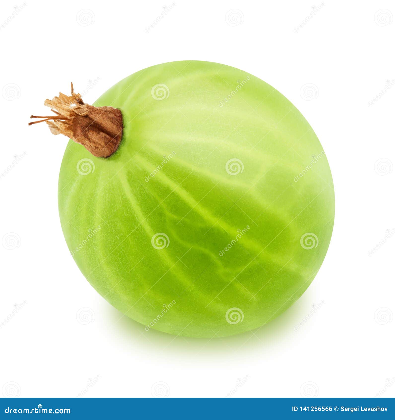 Single Gooseberry Isolated on a White Background. Stock Photo - Image ...