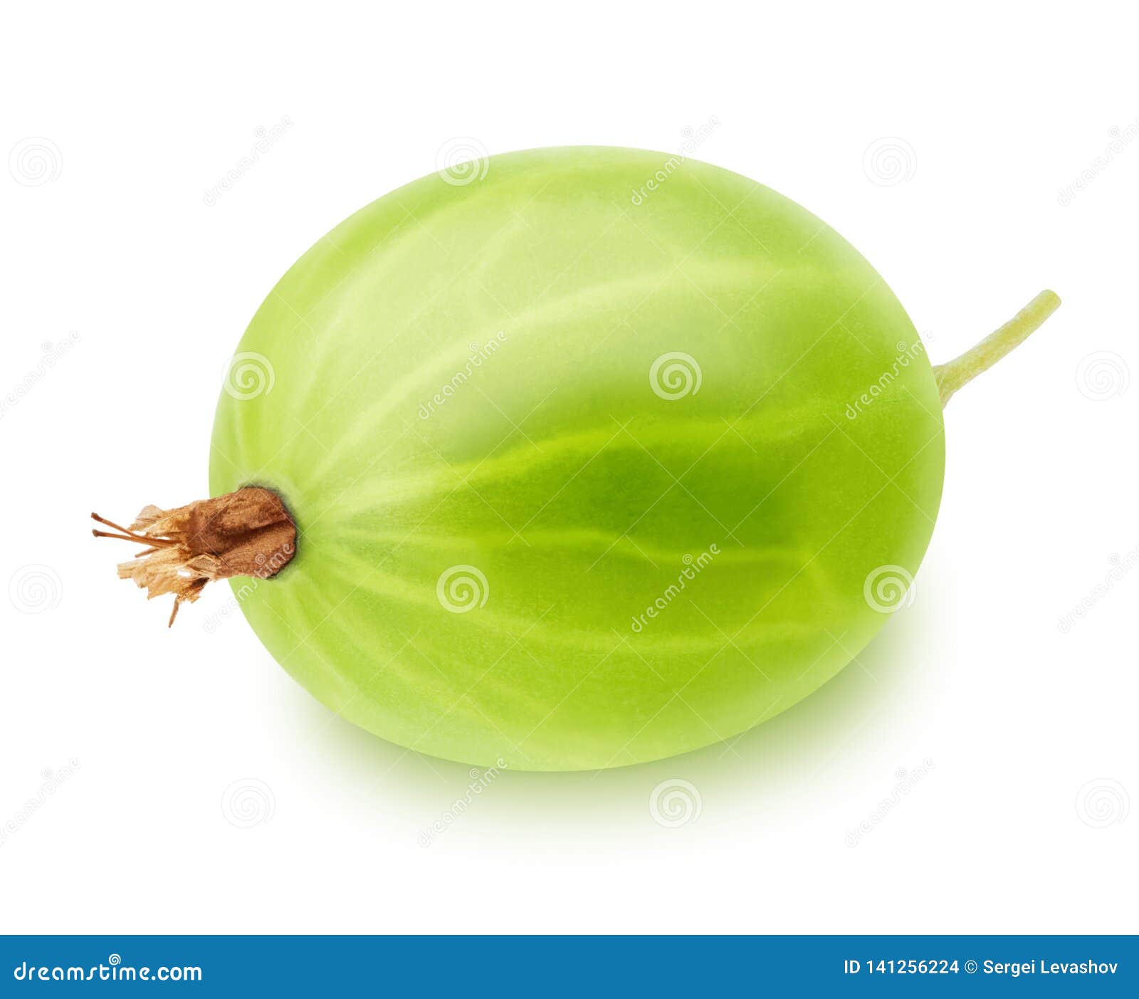 Single Gooseberry Isolated on a White Background. Stock Photo - Image ...