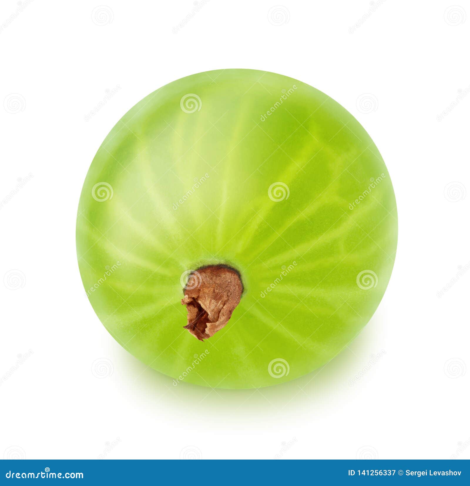 Single Gooseberry Isolated on a White Background. Stock Image - Image ...