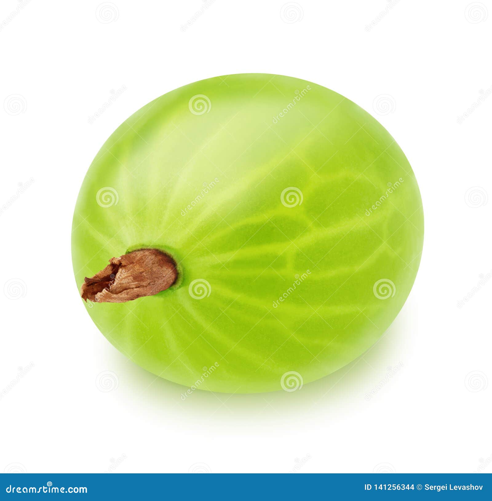 Single Gooseberry Isolated on a White Background. Stock Photo - Image ...