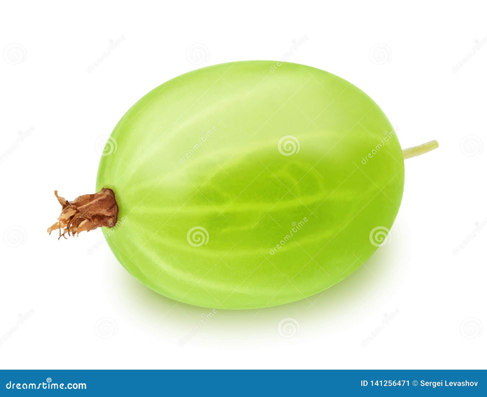 Single Gooseberry Isolated on a White Background. Stock Image - Image ...