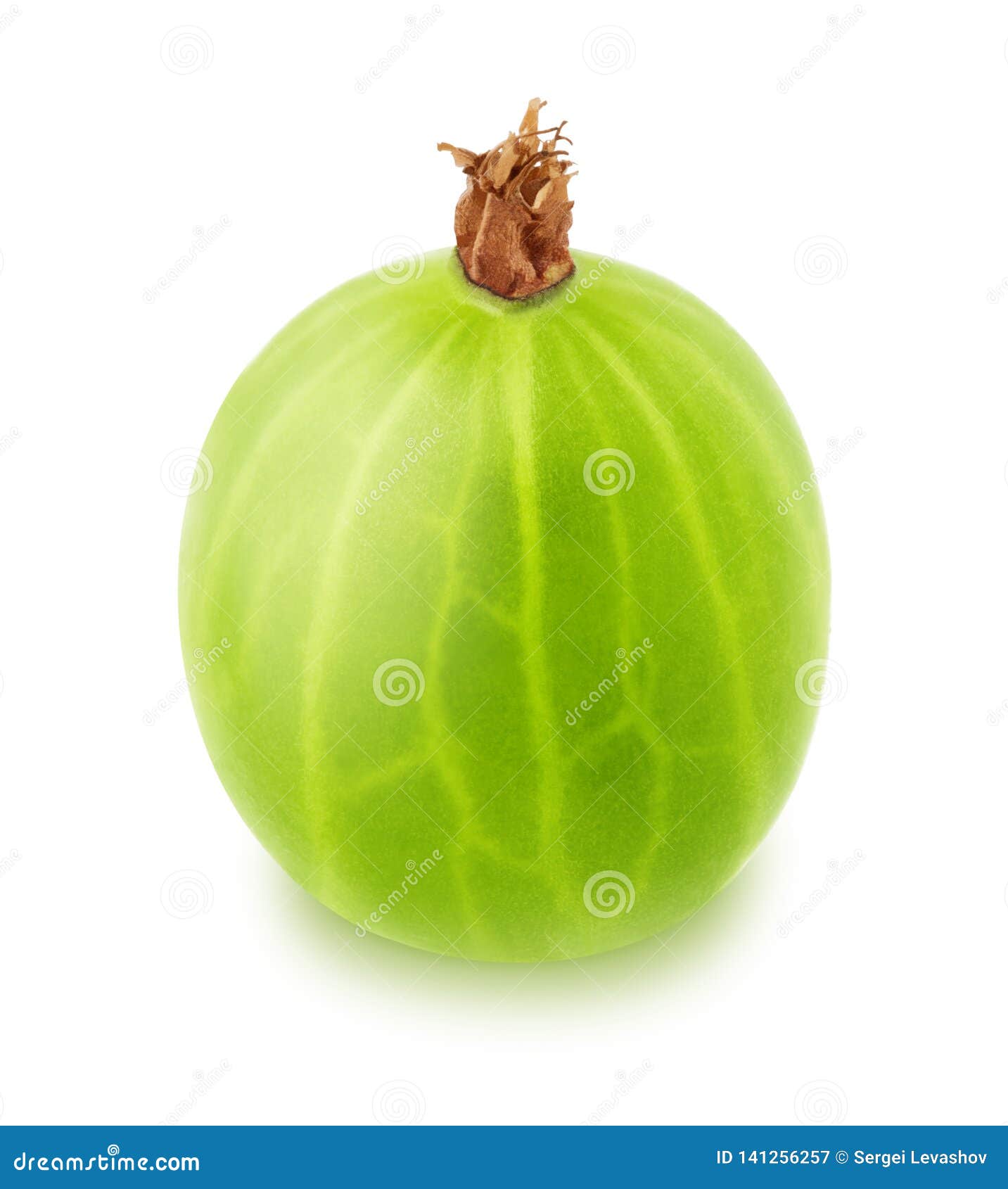 Single Gooseberry Isolated on a White Background. Stock Image - Image ...