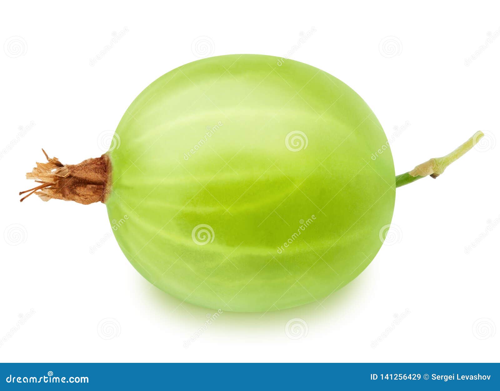 Single Gooseberry Isolated on a White Background. Stock Image - Image ...
