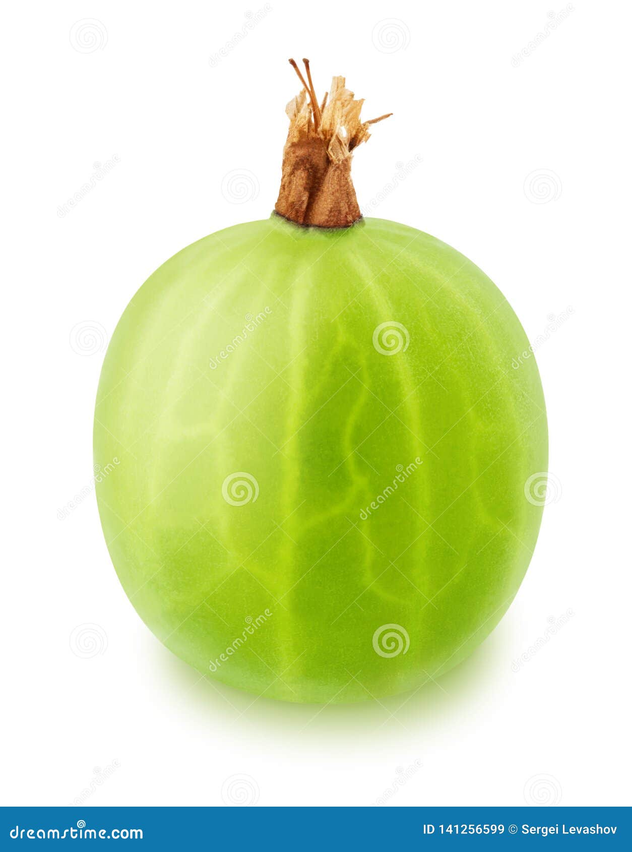 Single Gooseberry Isolated on a White Background. Stock Image - Image ...