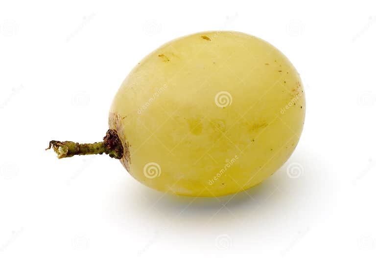 Single grape stock photo. Image of organic, close, grape - 3403228