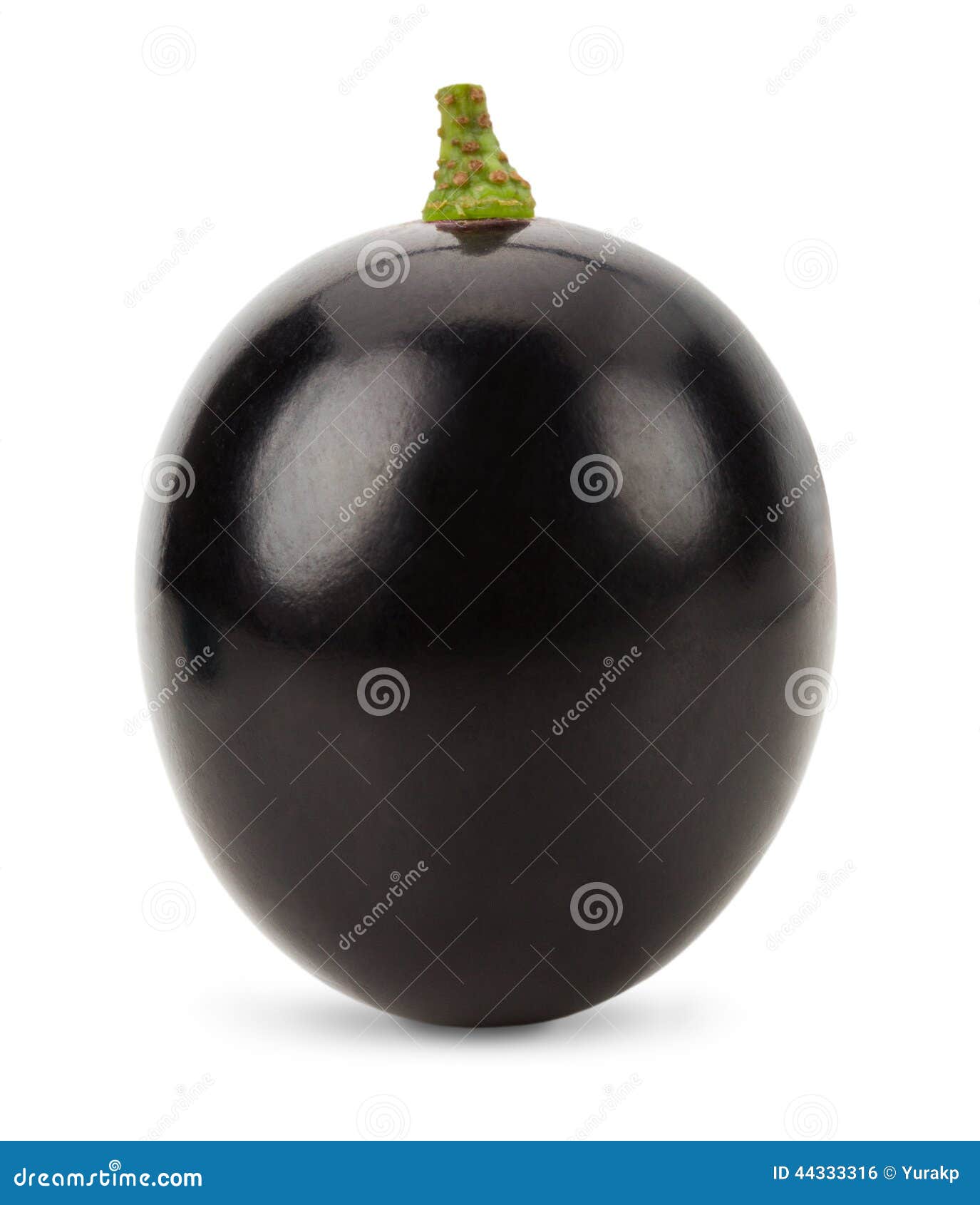 Single Grape Isolated on the White Background Stock Photo - Image of ...
