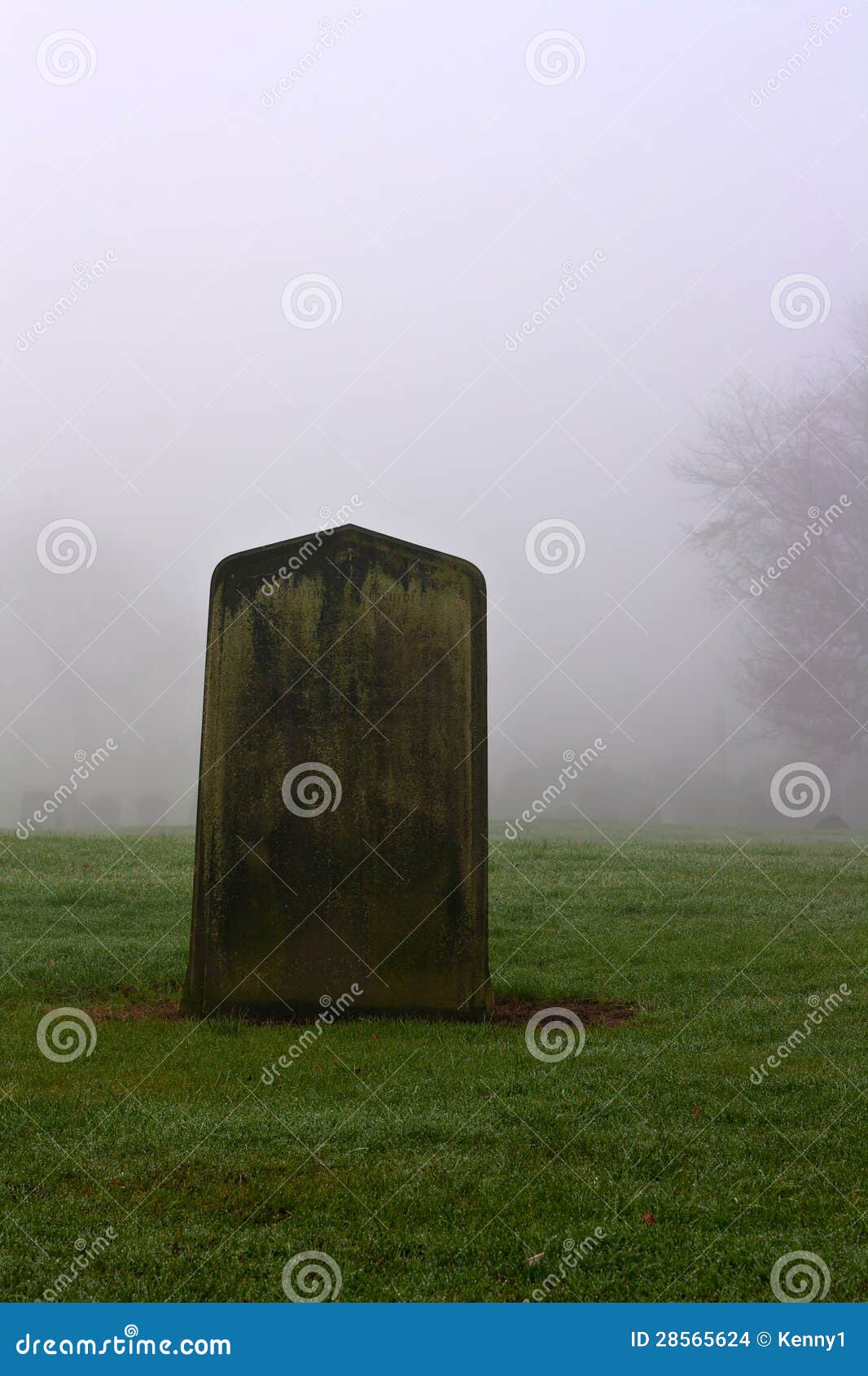 Single Gravestone in a Spooky Graveyard Stock Photo - Image of autumnal ...