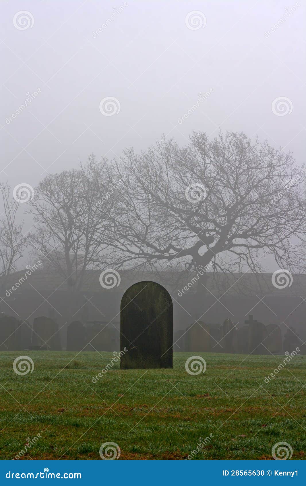 Single Gravestone in a Spooky Graveyard Stock Photo - Image of ...