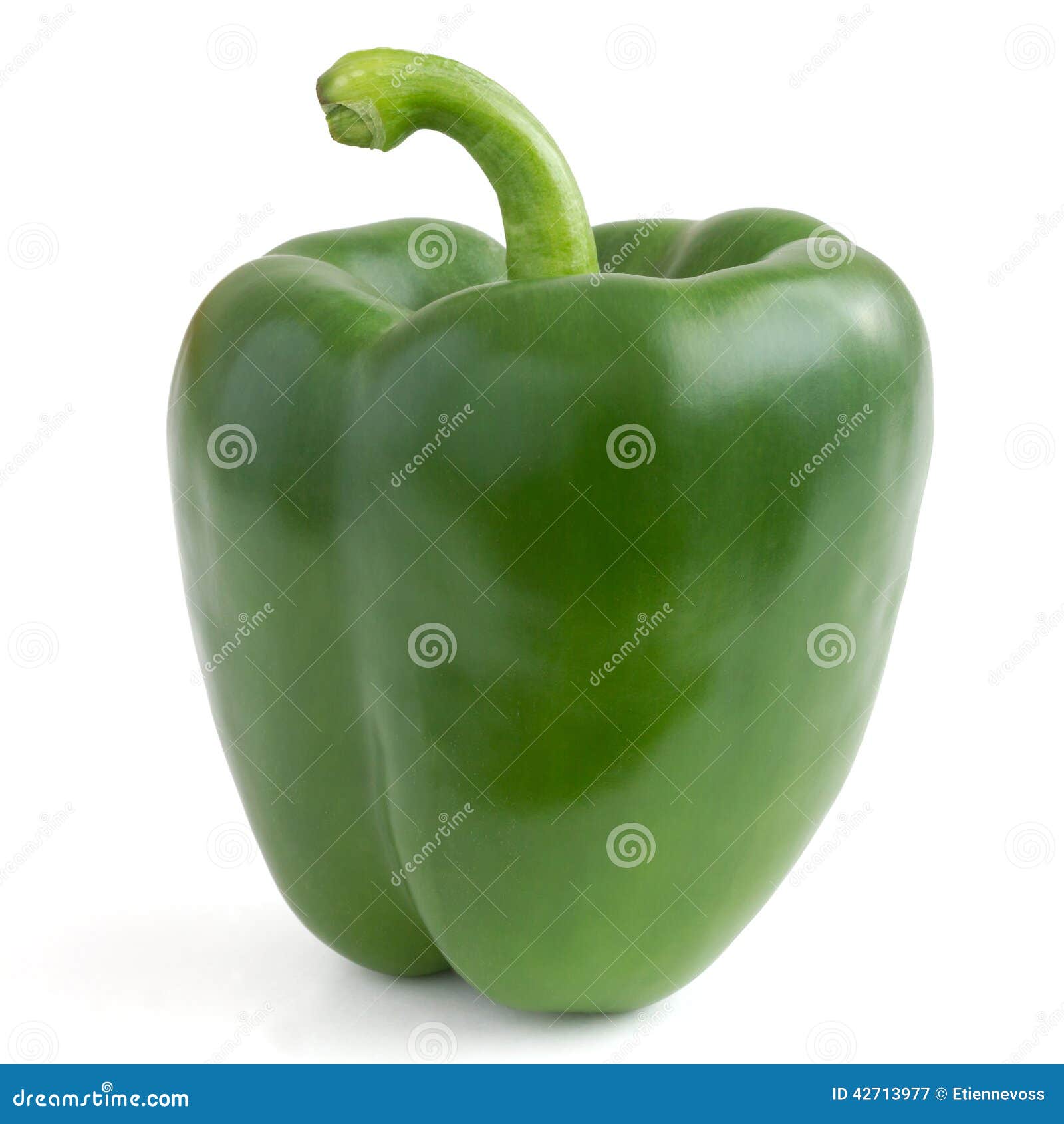 Single green bell pepper stock image. Image of fresh - 42713977