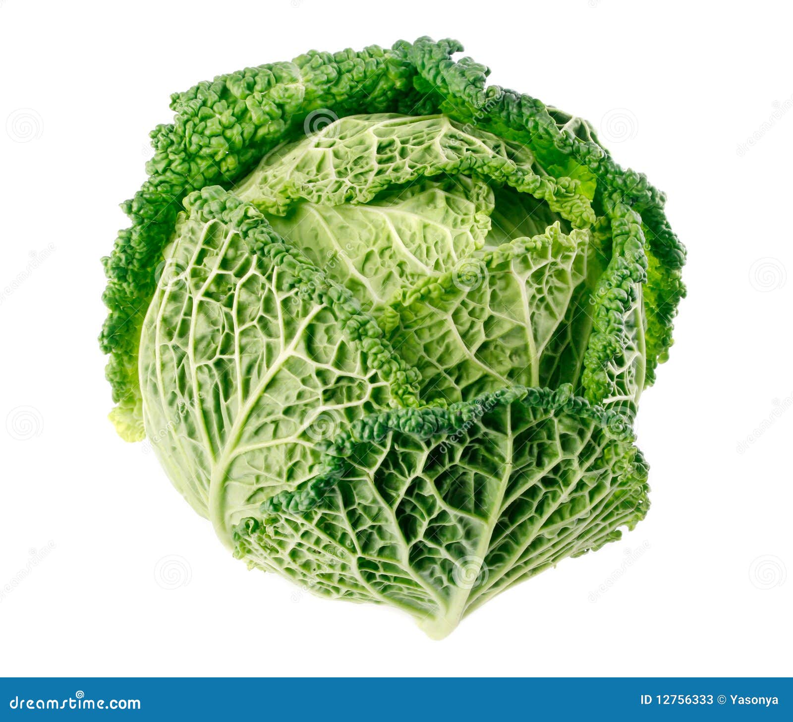 Green Cabbage Texture Background Stock Photography | CartoonDealer.com ...