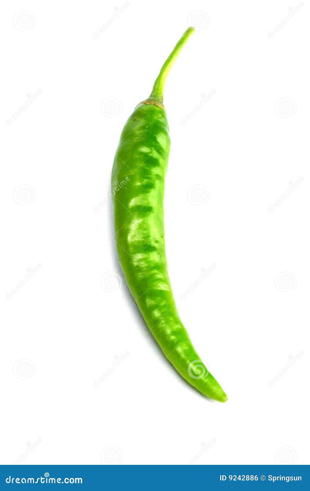 Single green chilli stock photo. Image of colour, spice - 9242886