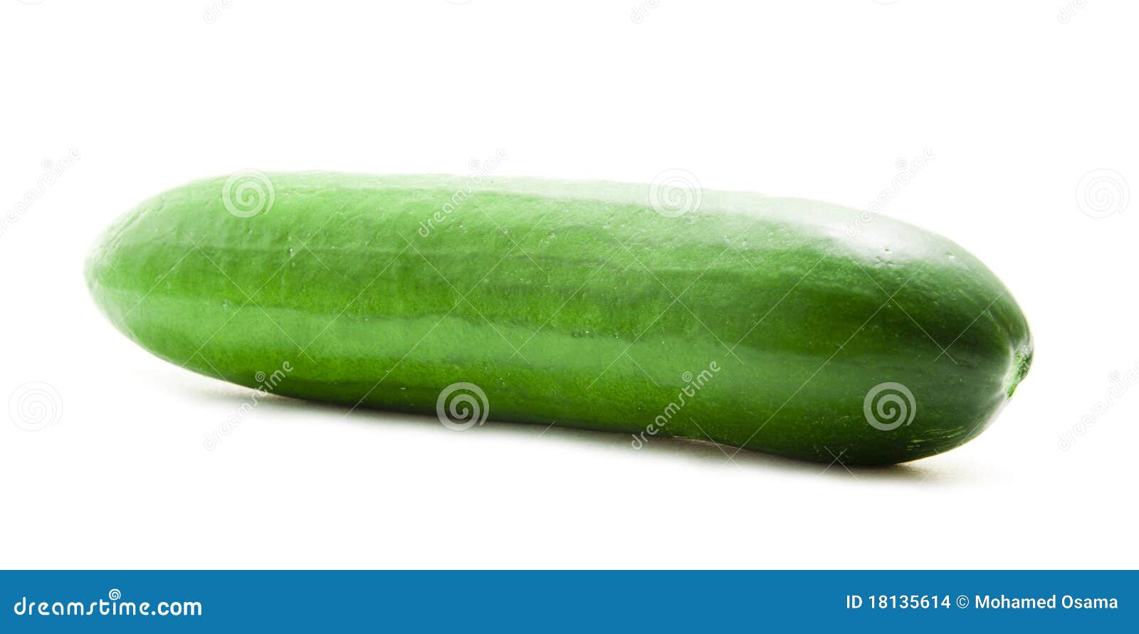 Single Green Cucumber stock photo. Image of kitchen, nutrient - 18135614