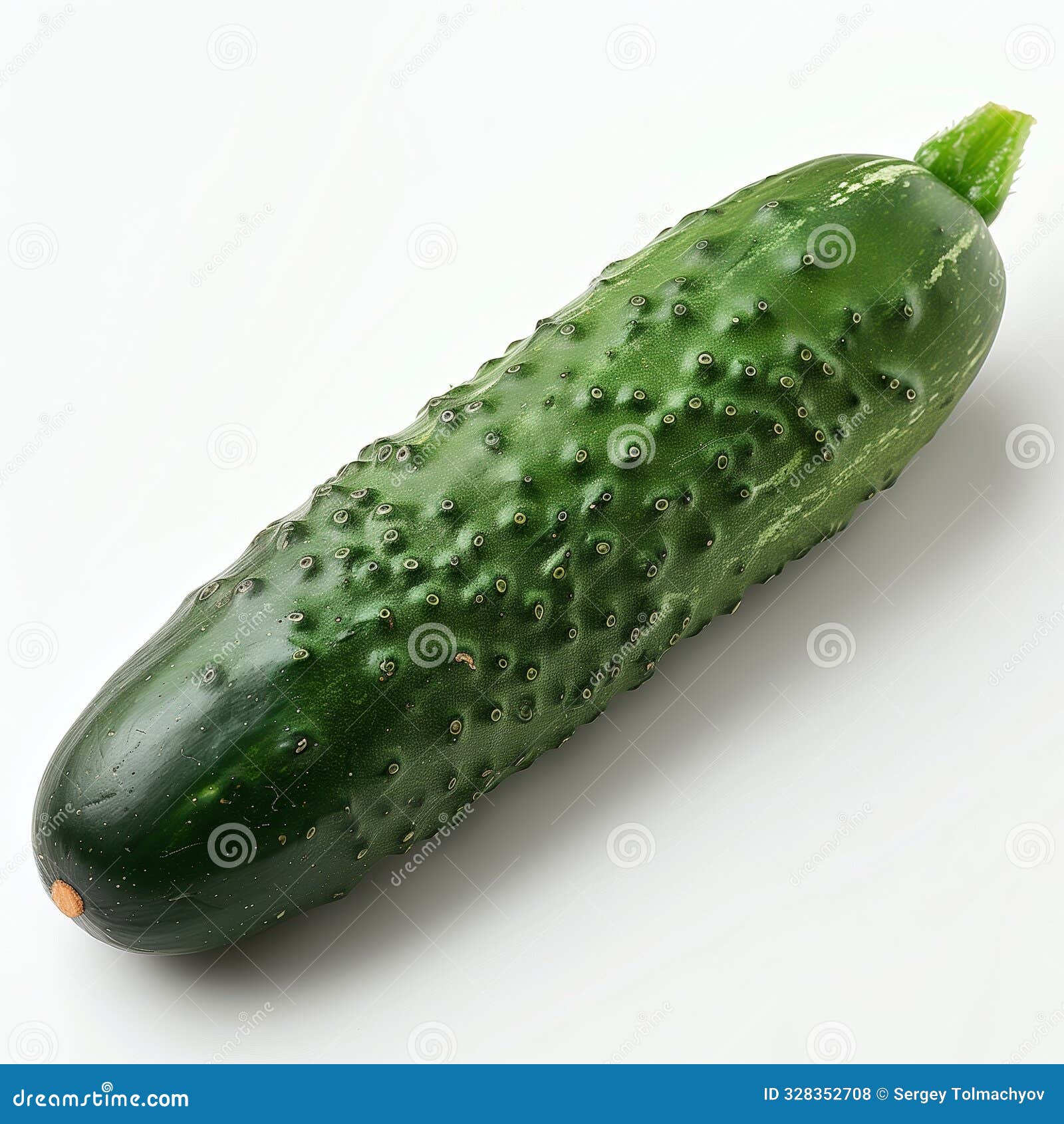 A Single Green Cucumber Isolated on a White Background Stock Photo ...