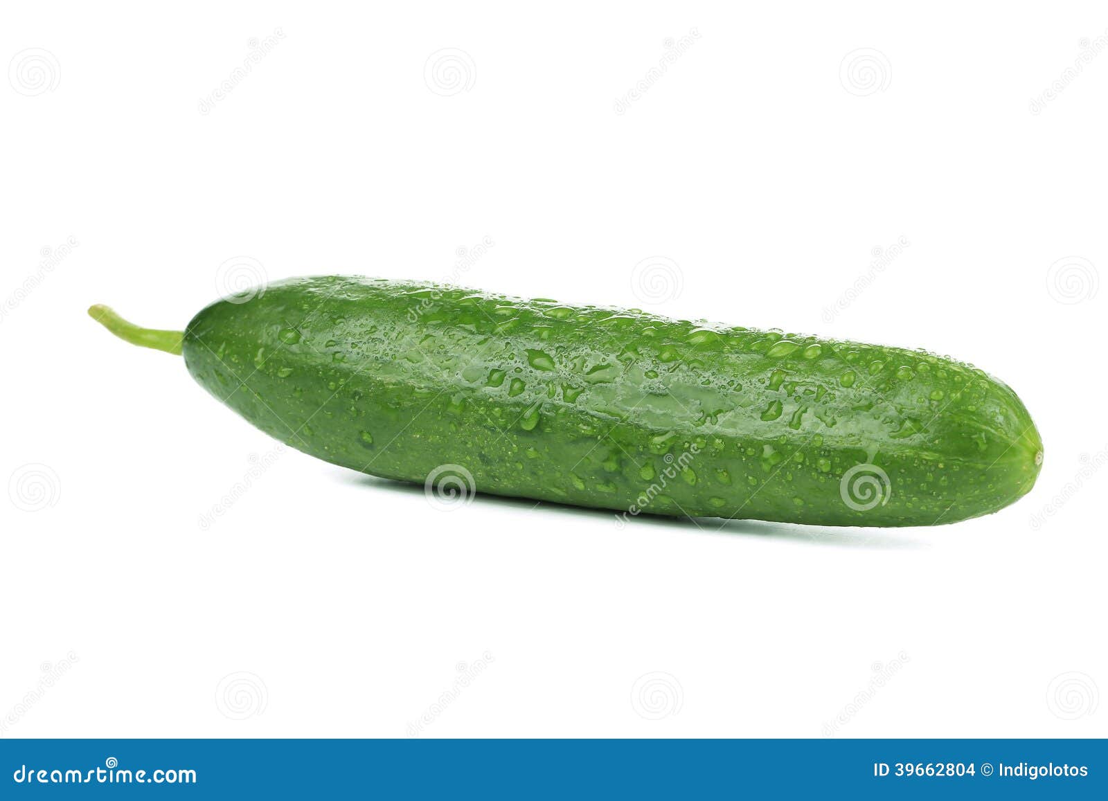 Single green cucumber. stock photo. Image of freshnessfresh - 39662804