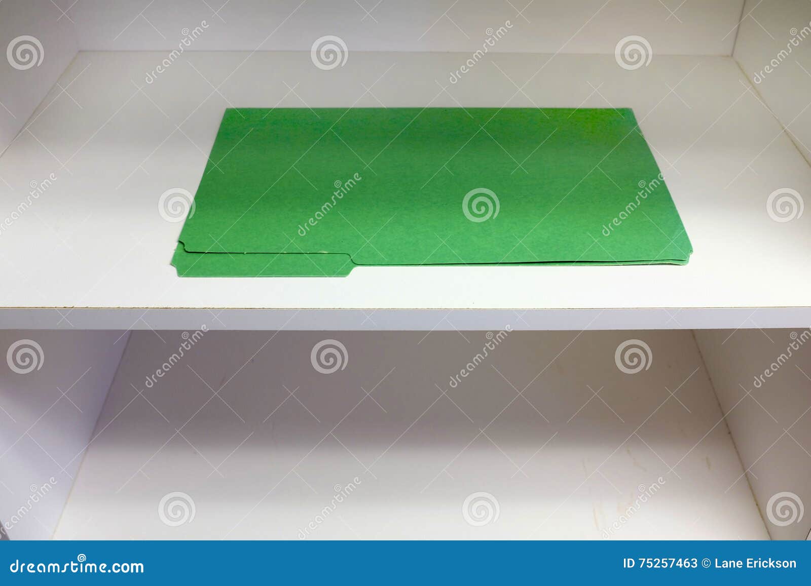 Single Green File on Shelf for Business Stock Image - Image of data ...