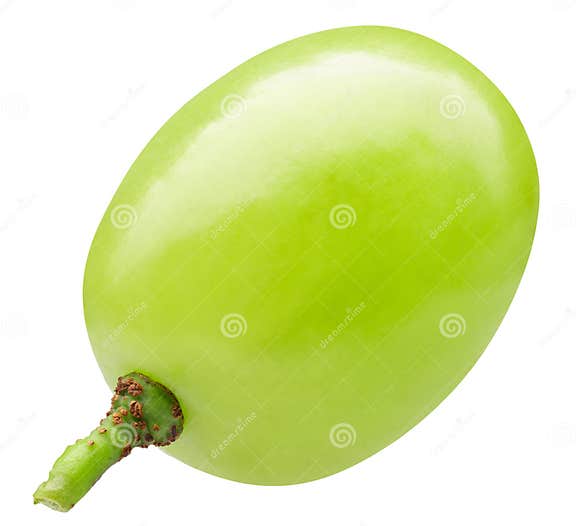 Single Green Grape Isolated on a White Background Stock Photo - Image ...